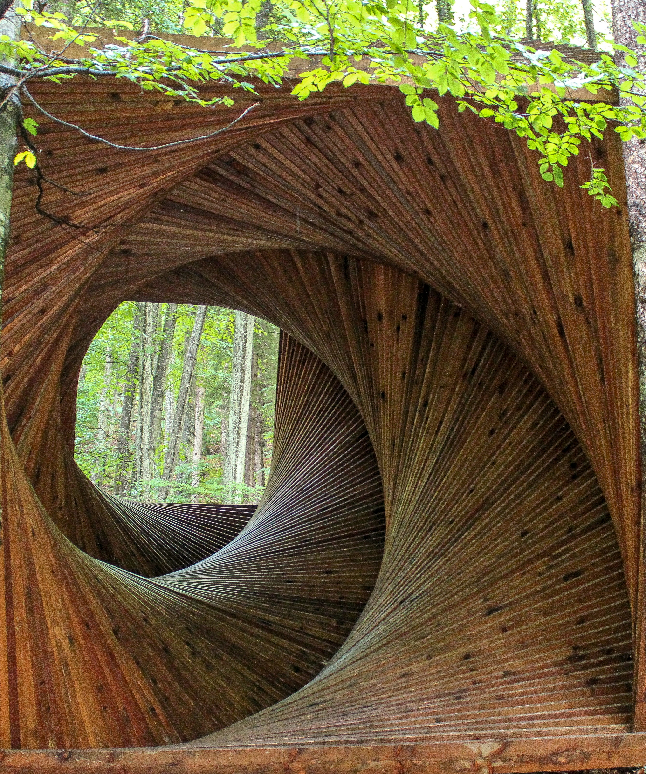 Timber Vortex: A Forest Spiral Carved from Slats