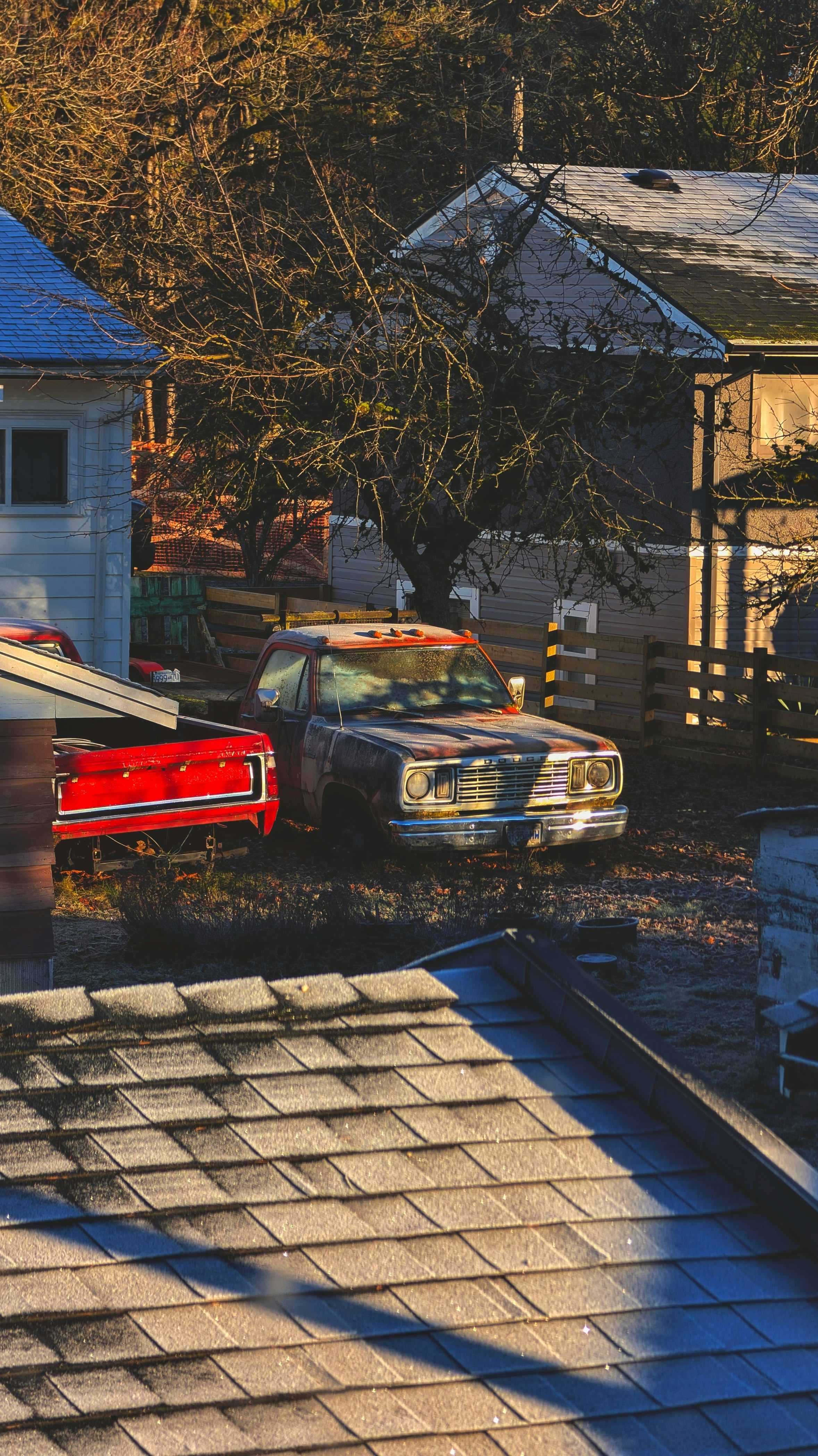 Sunlit Blue Vintage Pickup Anchors a Quiet Yard Scene