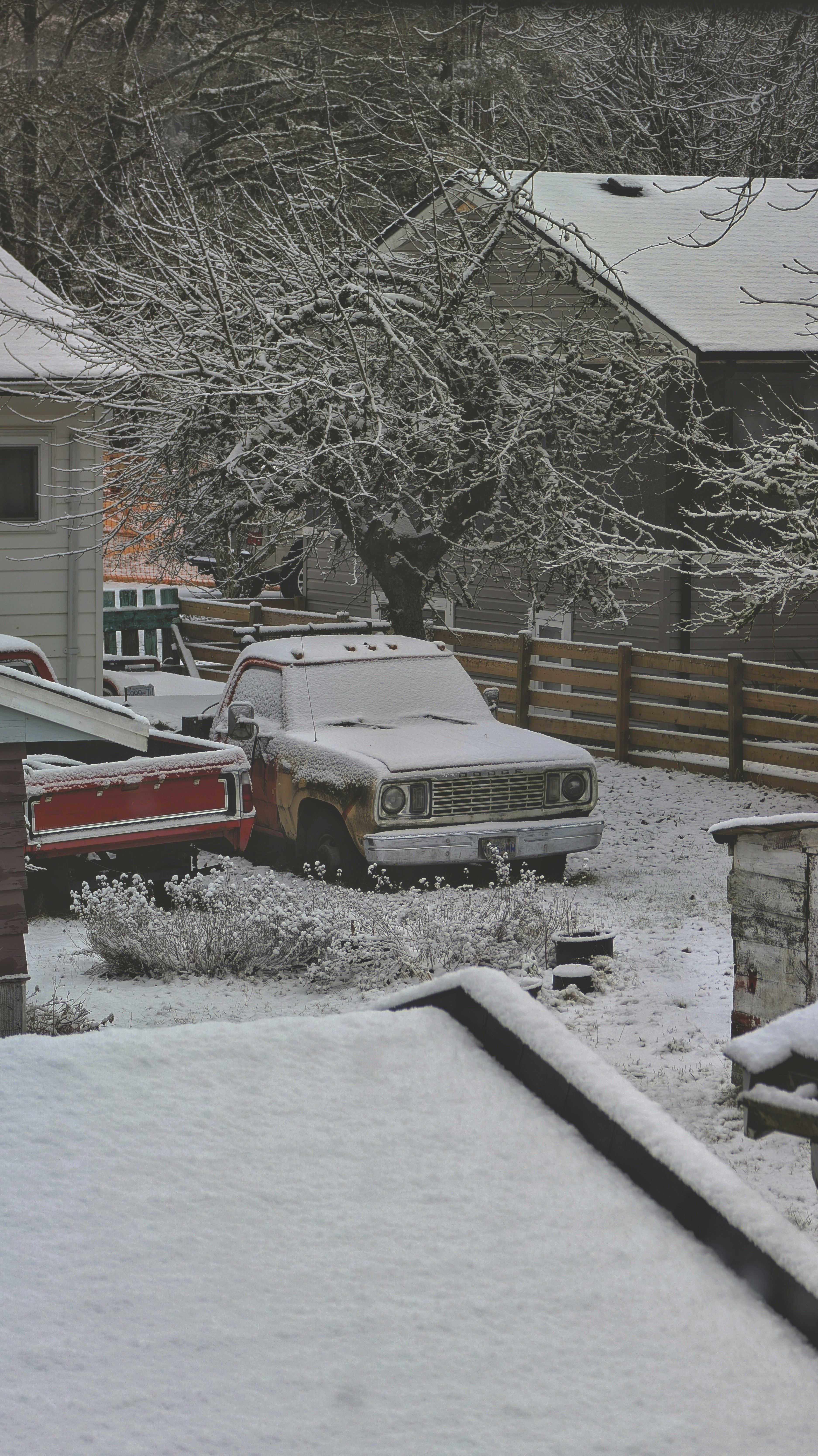 Snow-Blanketed Vintage Pickup in a Quiet Winter Yard