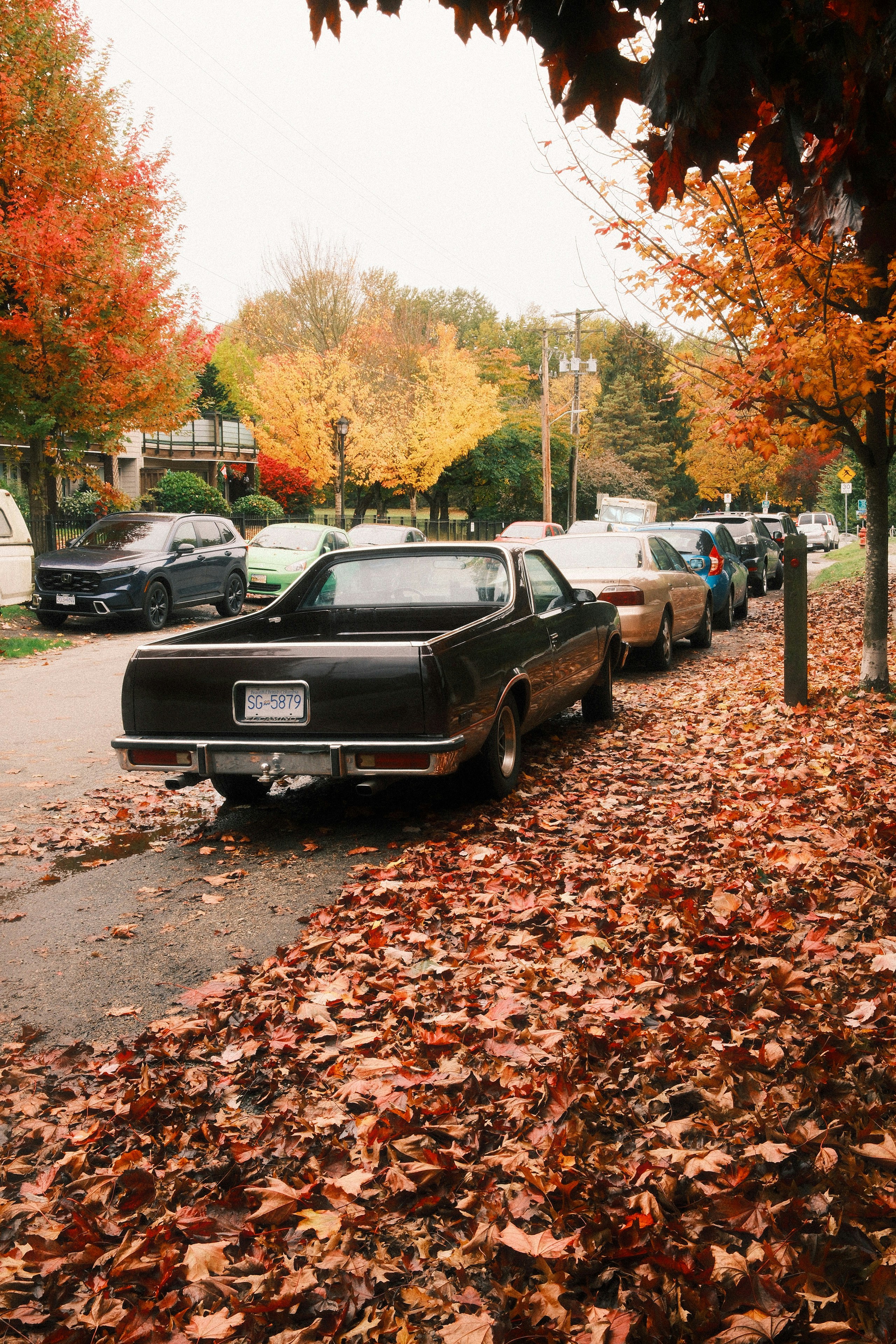 Autumn’s Quiet Stance: A Black Classic on a Leaf-Littered Street