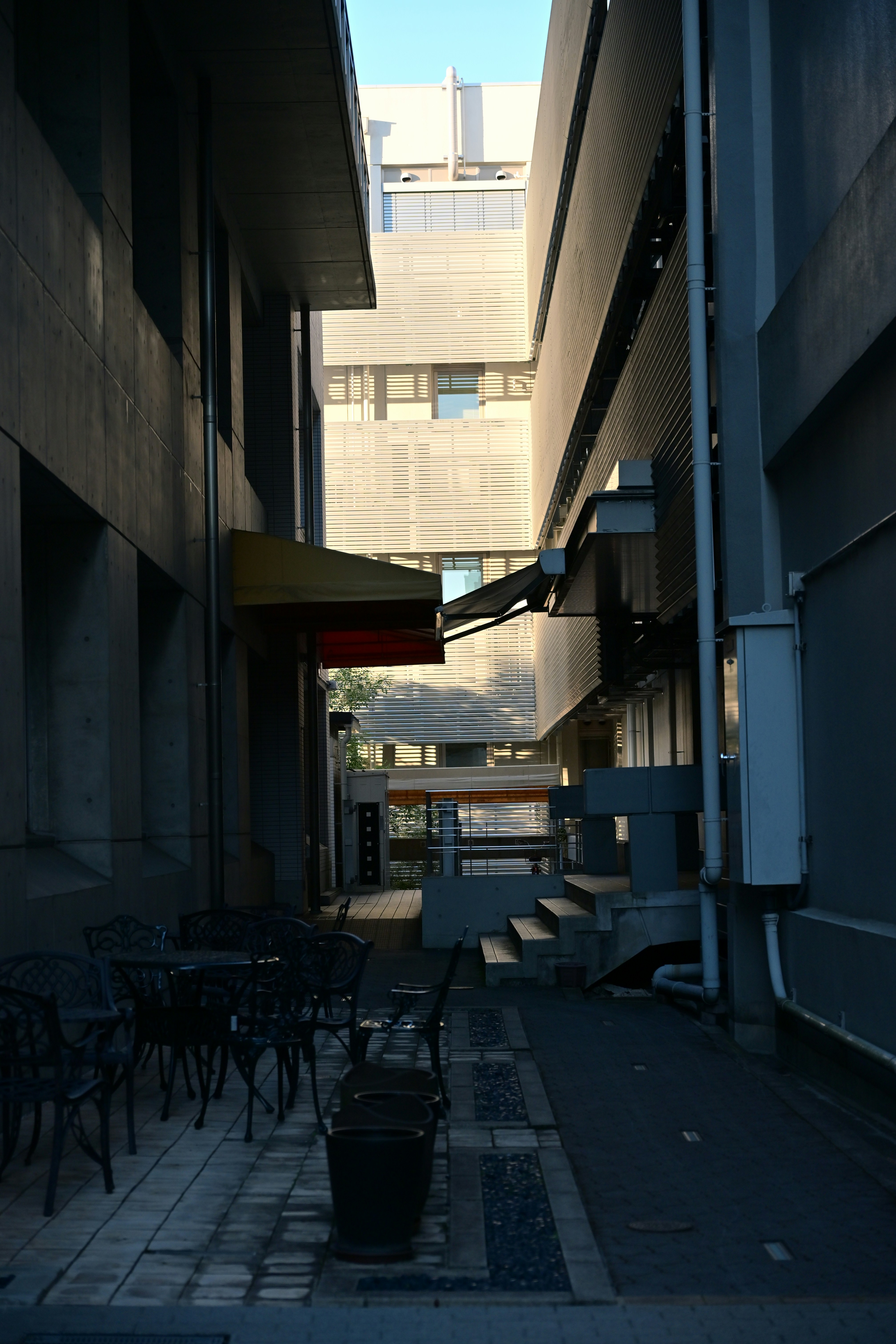 Photo by Gavin Li with Nikon Zf