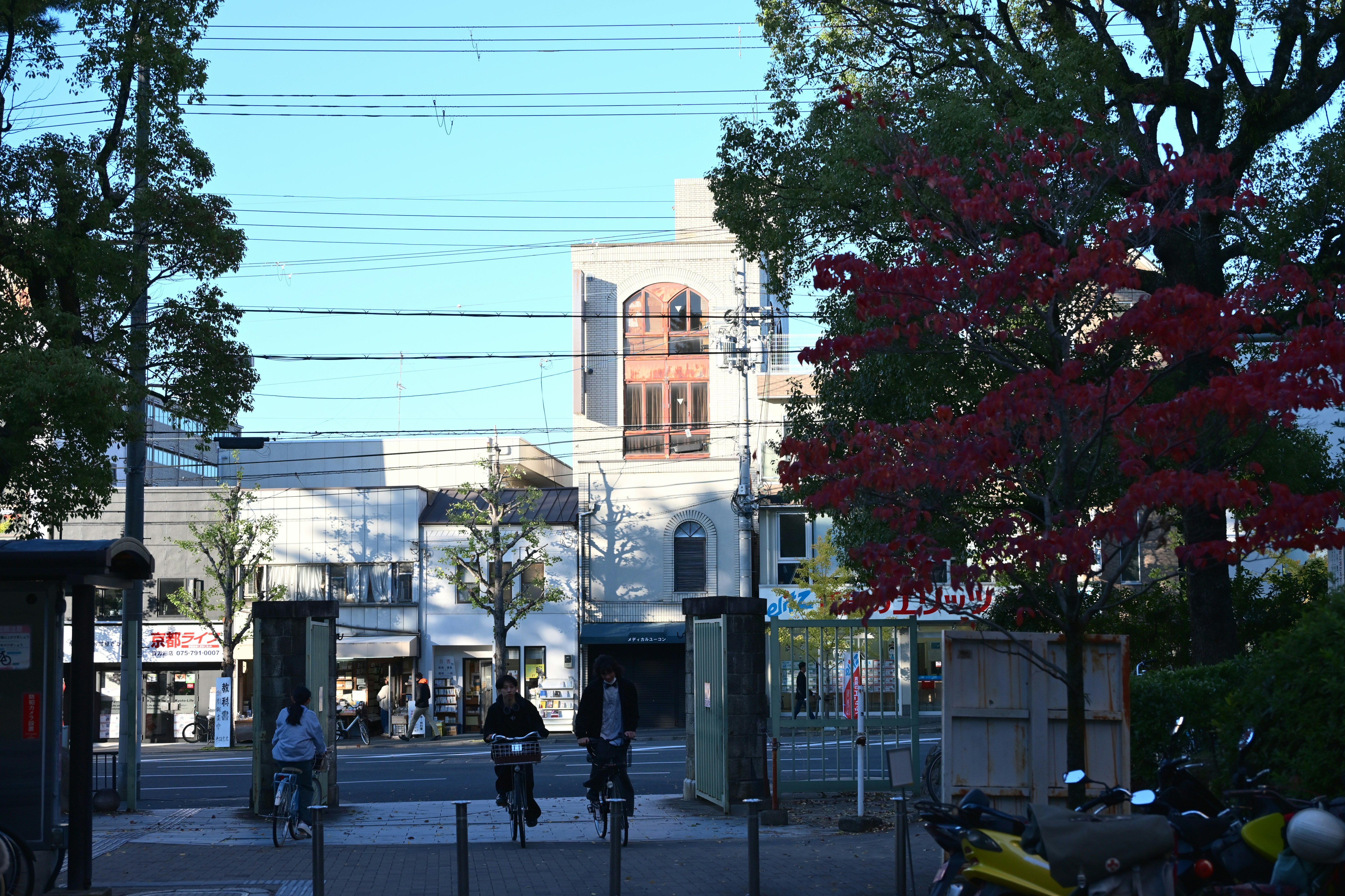 Photo by Gavin Li with Nikon Zf