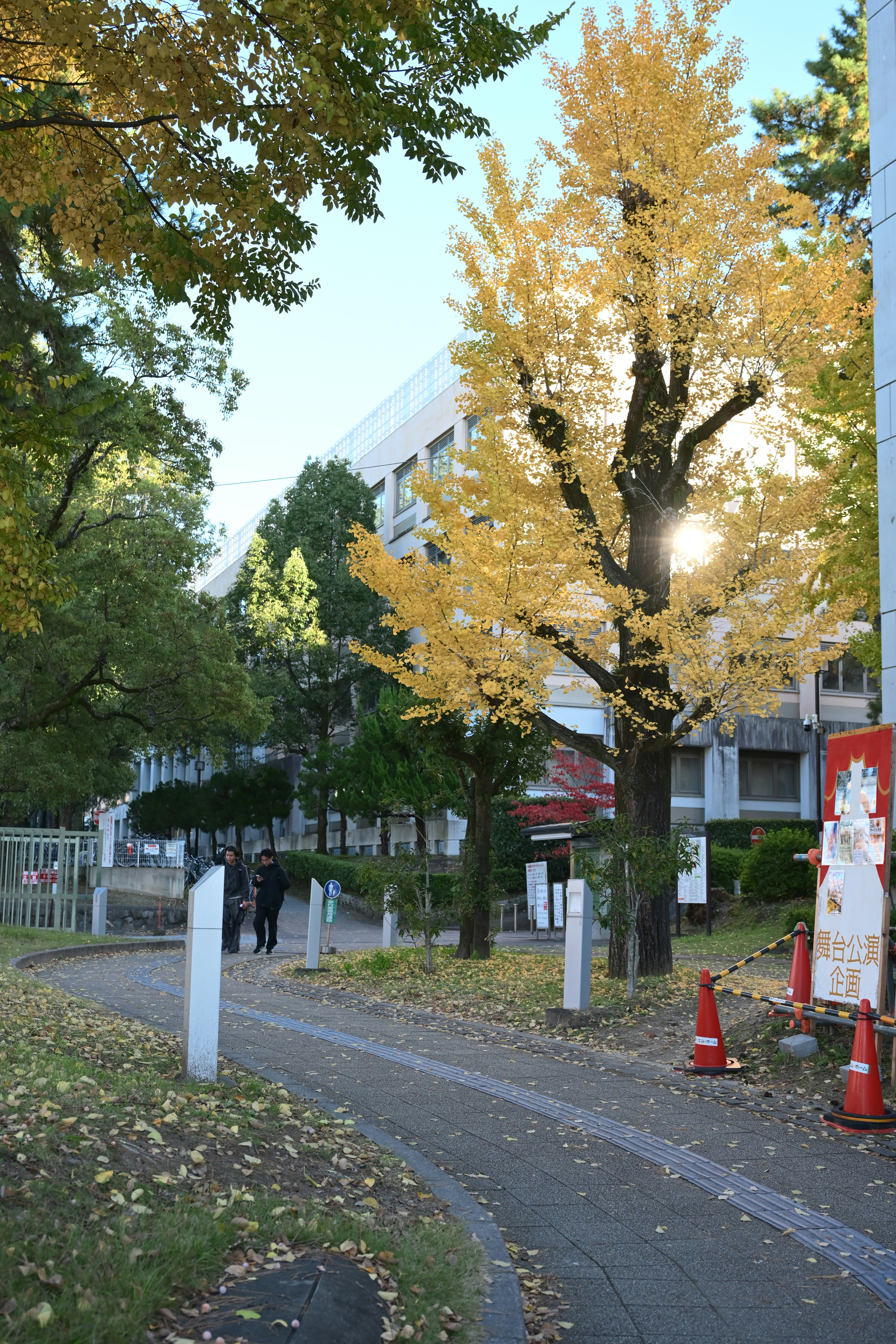 Photo by Gavin Li with Nikon Zf