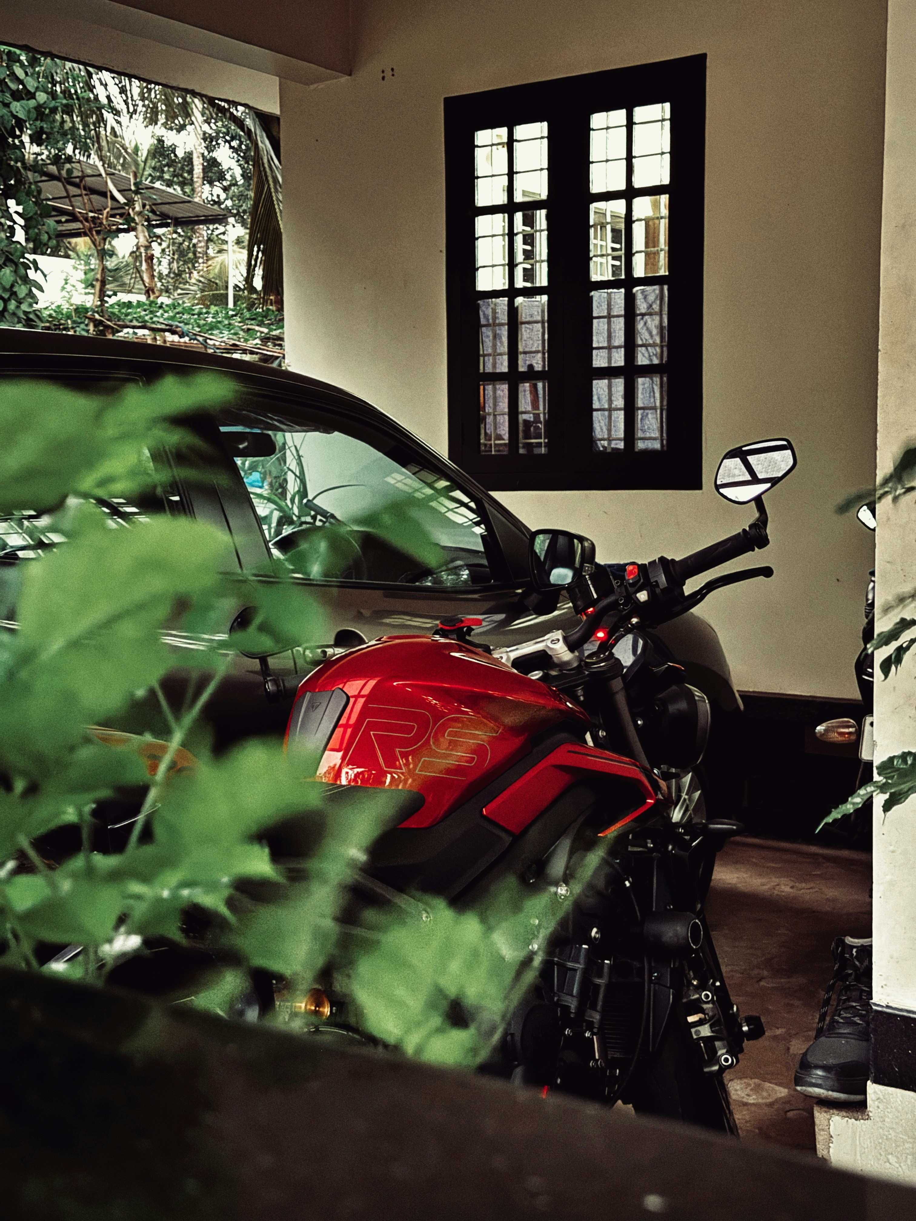 Red Sportbike Framed by Foliage in a Quiet Garage