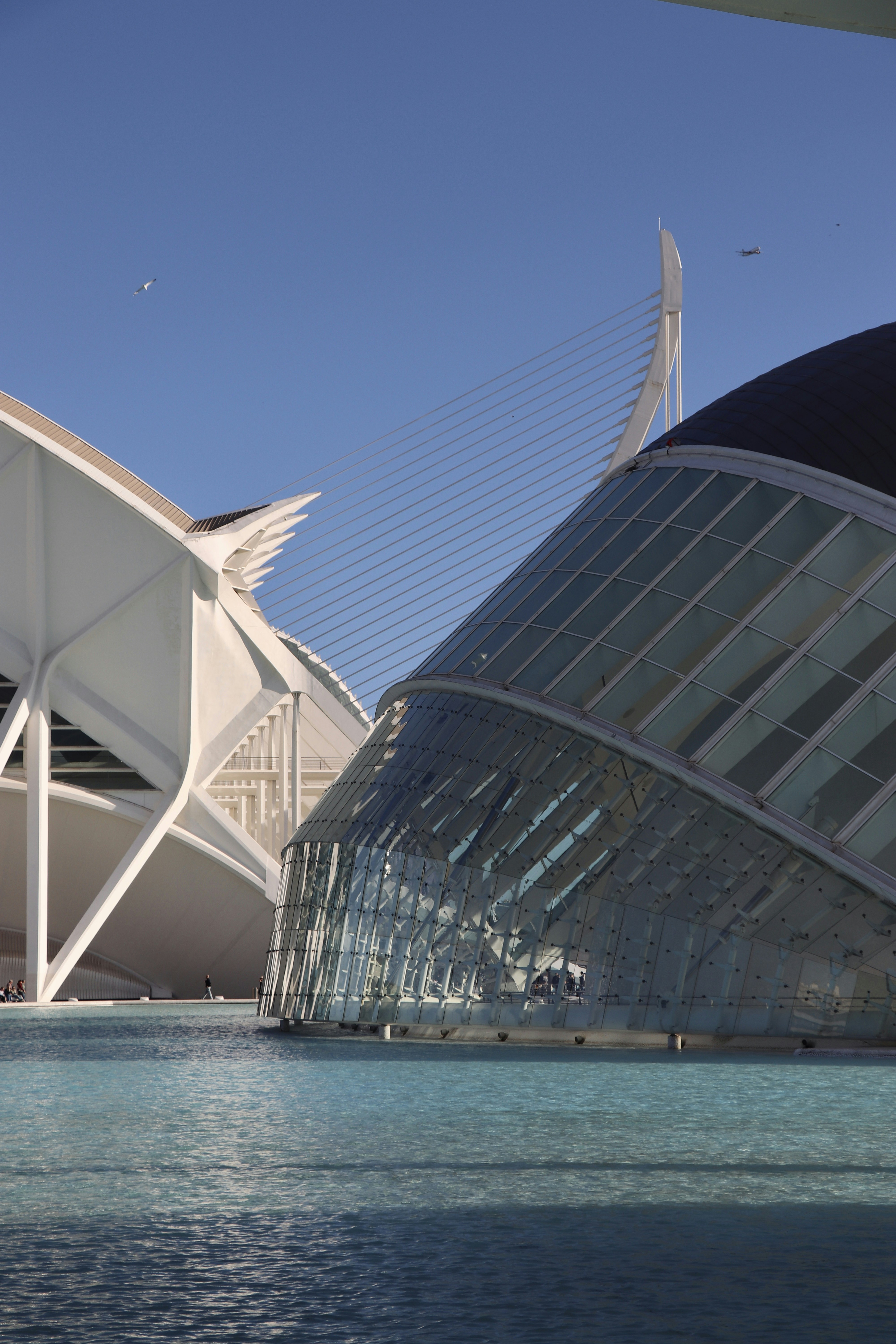 L’Hemisfèric’s tilted glass dome meets the ribbed Museu de les Ciències and the harp-like cables of the Assut de l’Or bridge at the City of Arts and Sciences in Valencia, sleek modern forms mirrored in a turquoise pool under a clear sky.