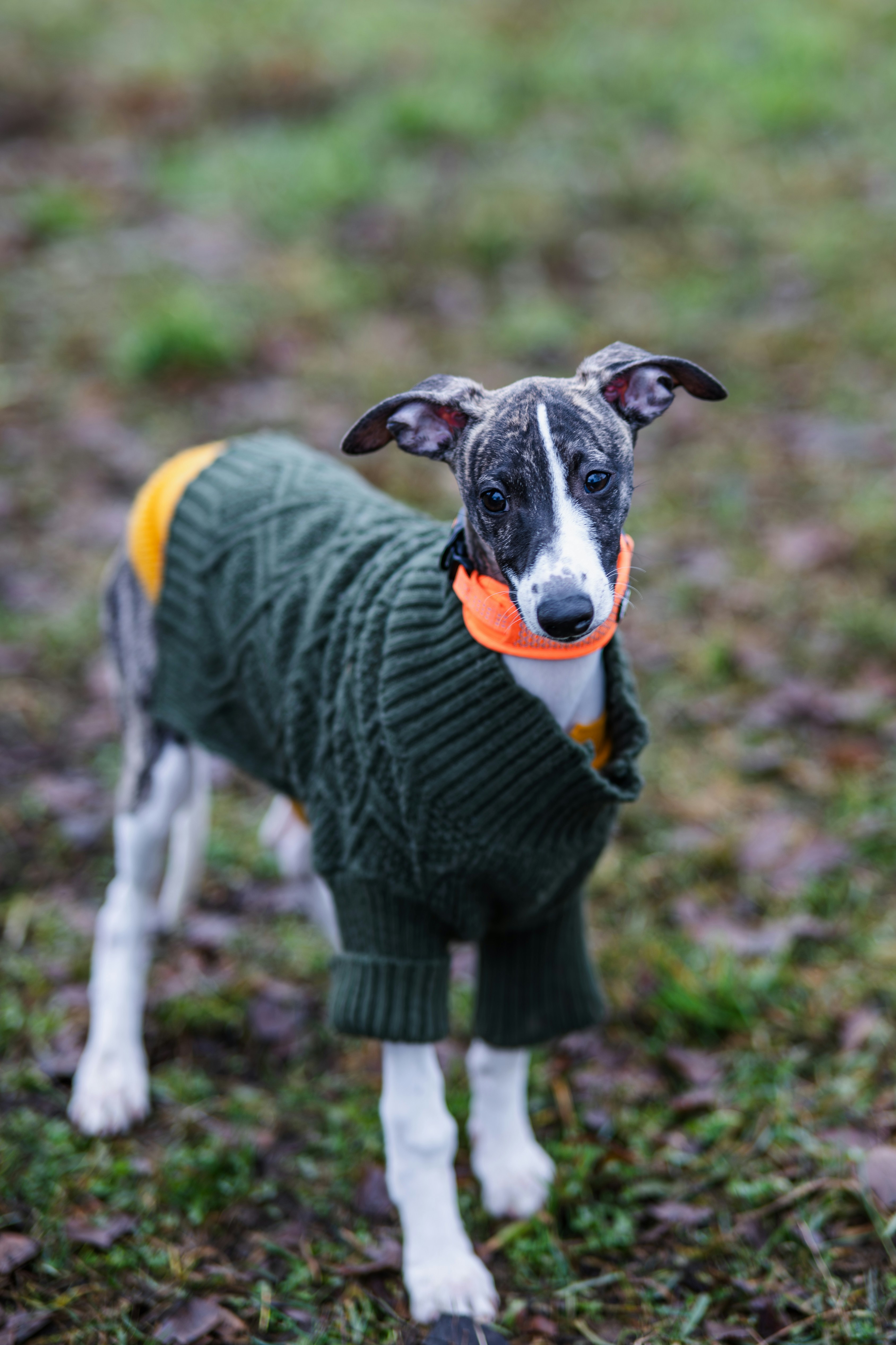 Photo by Hanlin Sun with Nikon Zf