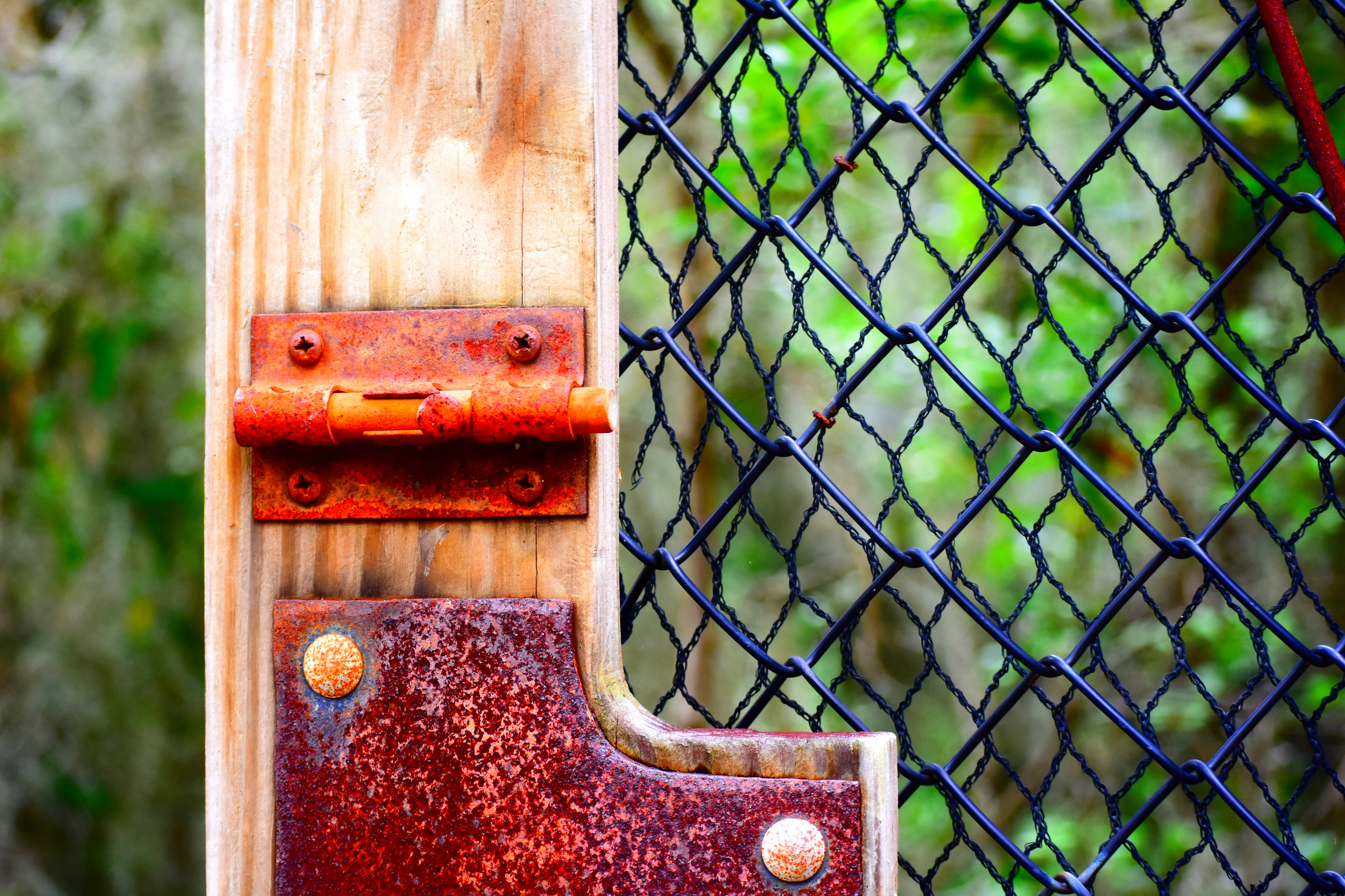 Photo by Captured By Vibemind with Nikon D3400