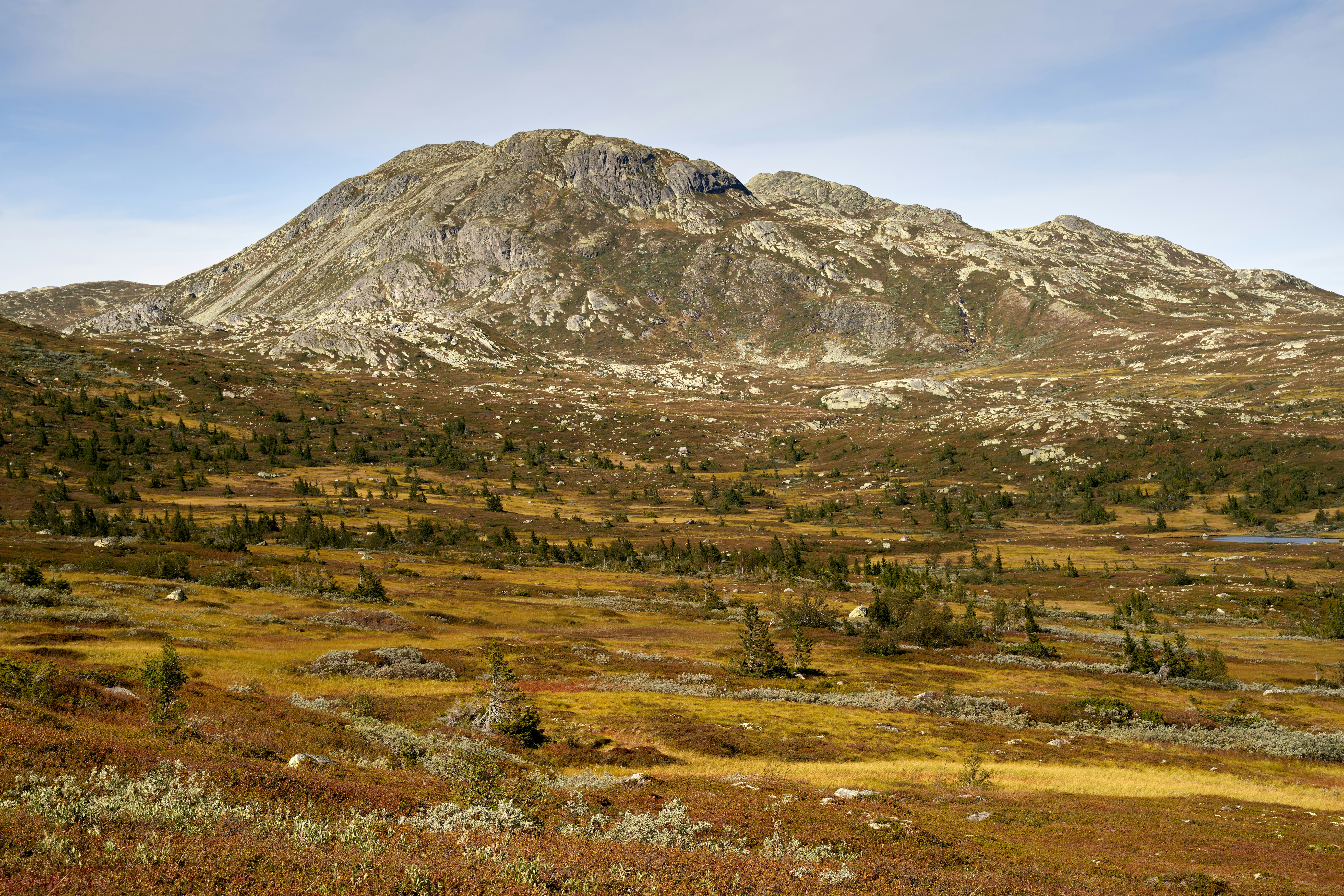 Rocky mountain and beautiful colorful autumn highland landscape, near to Gaustatoppen, Telemark, Norway