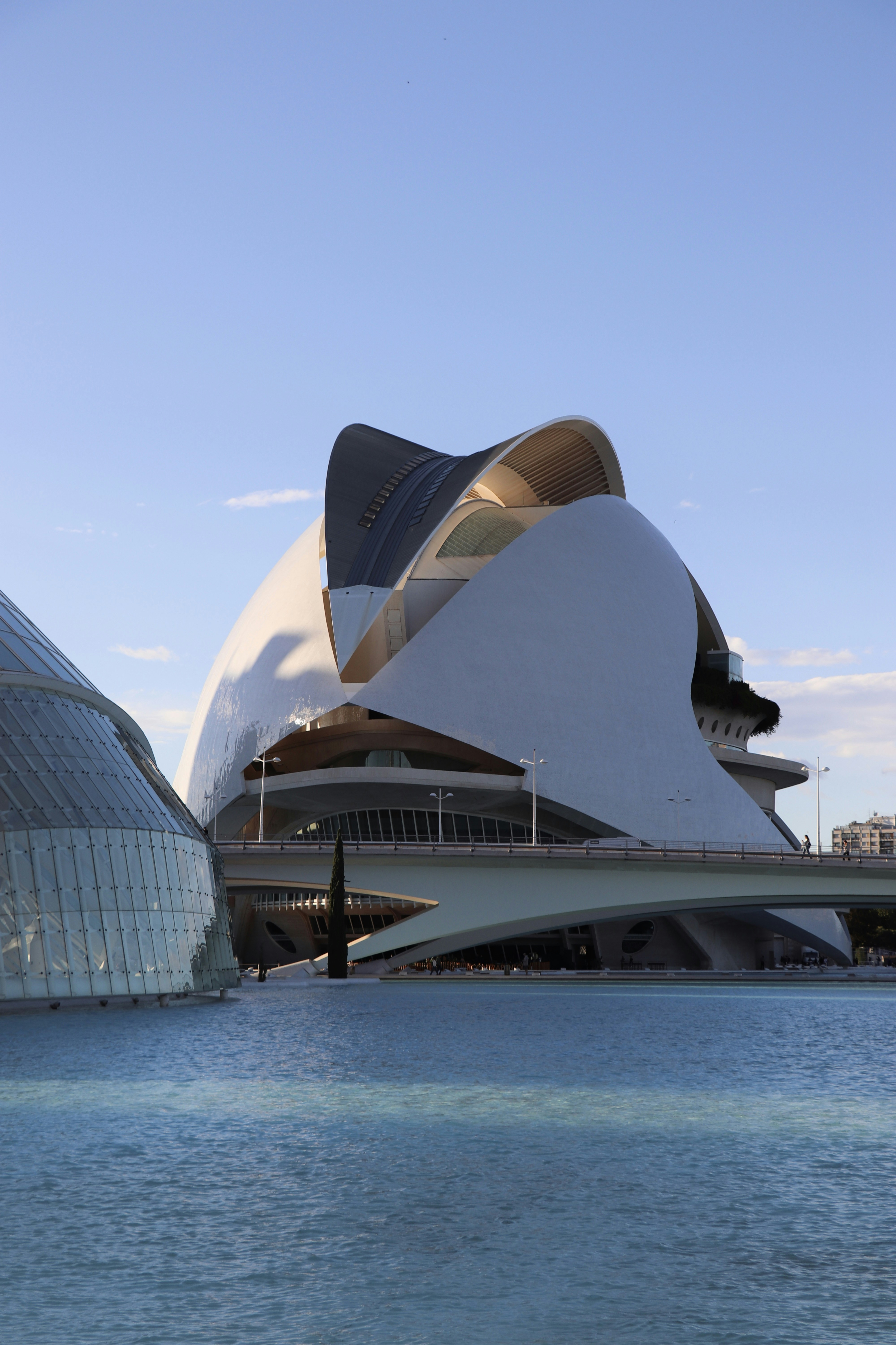 White Harmonics Over Blue Waters: Valencia’s Sculpted Skies