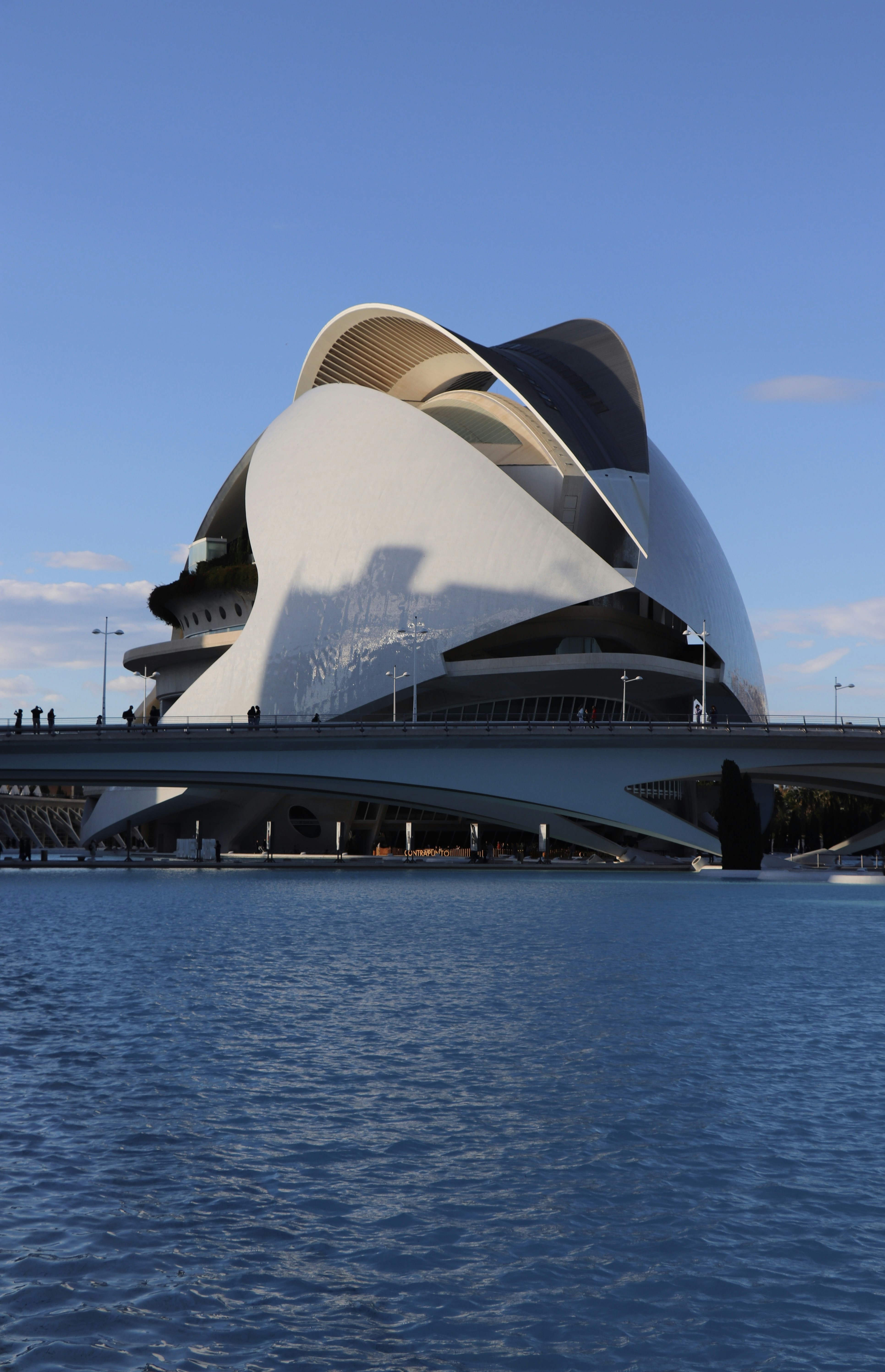 Sinuous Sails Above the Harbour: Opera House in Clear Daylight