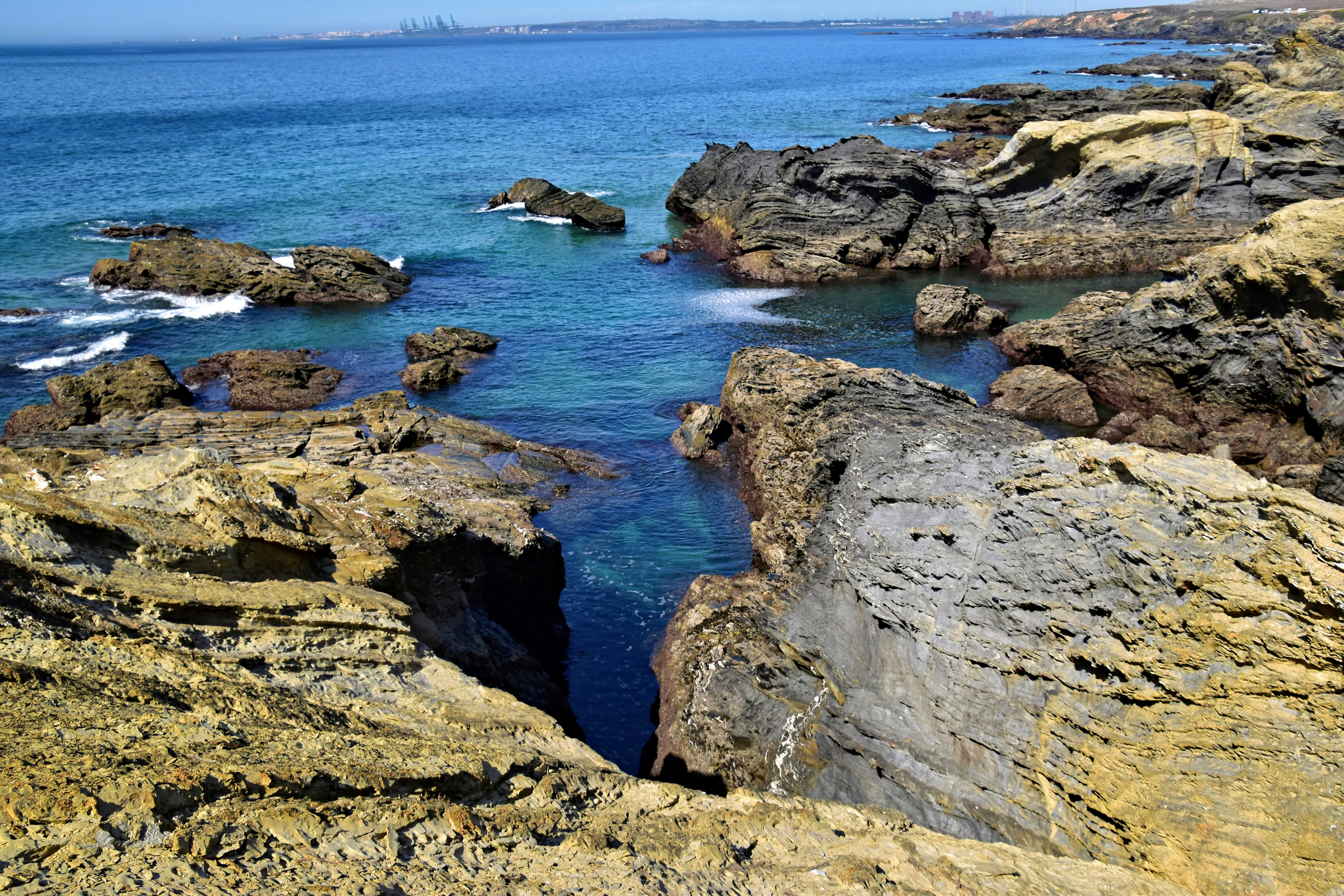 Photo by Jeffrey Eisen with Nikon D5600