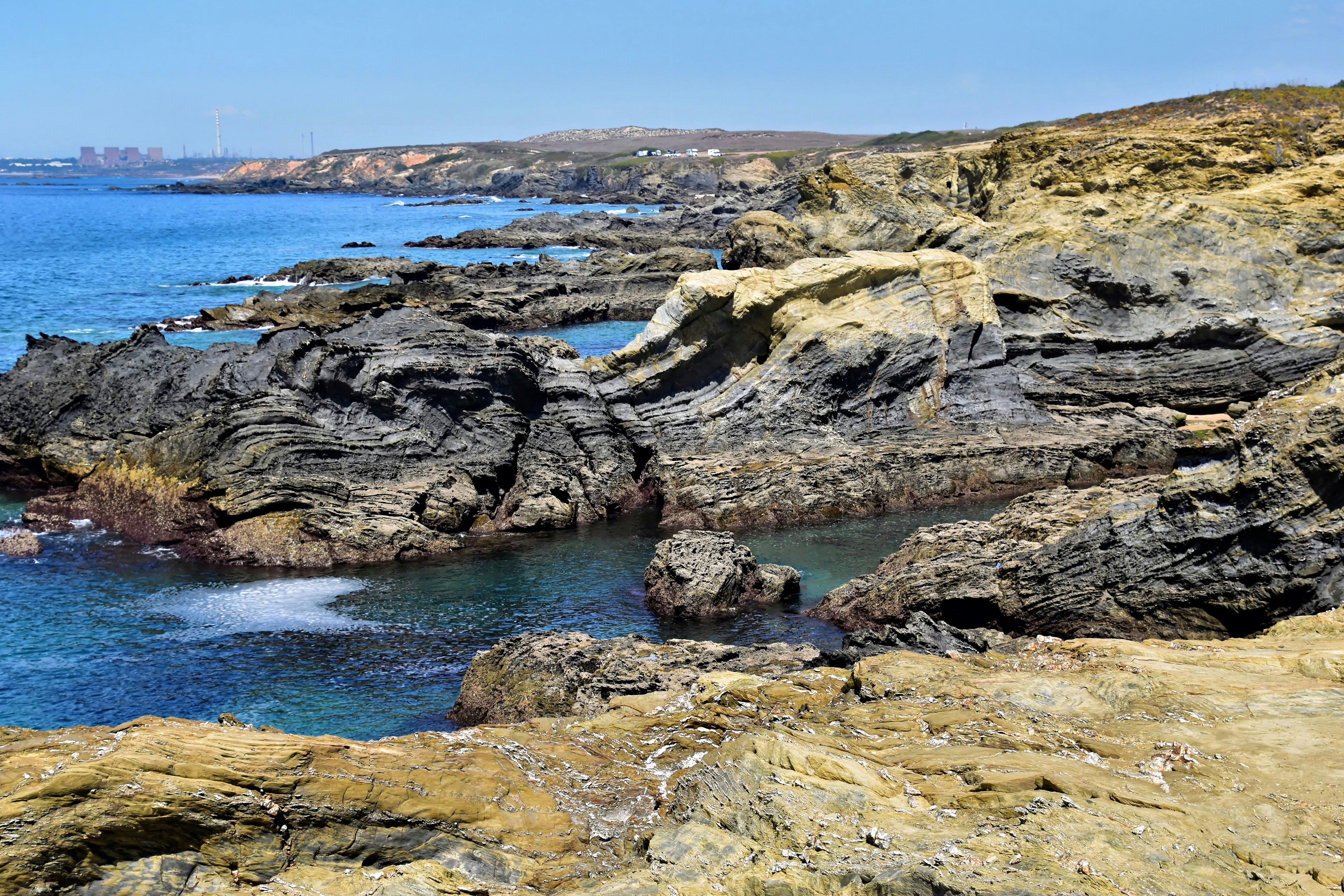 Photo by Jeffrey Eisen with Nikon D5600