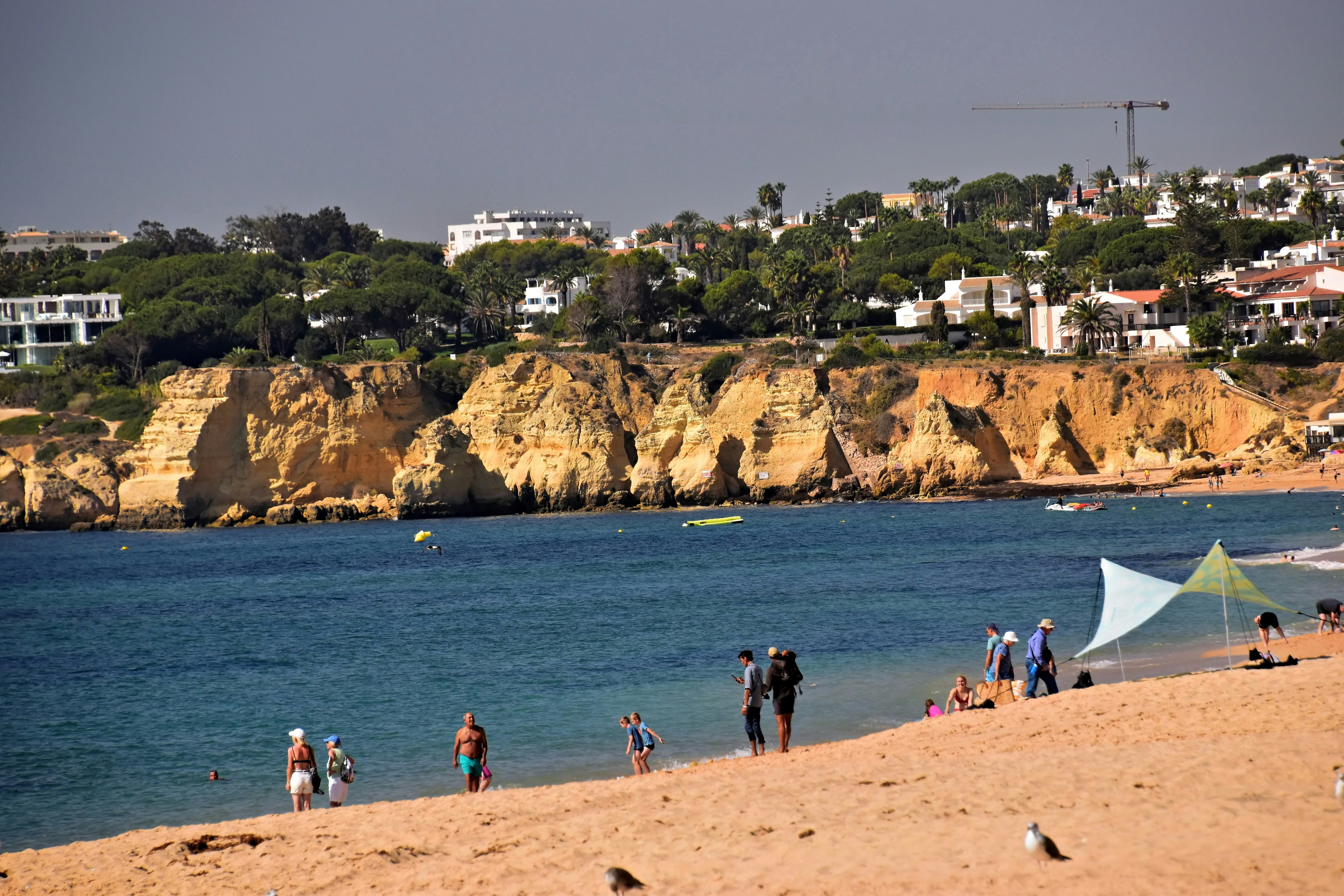 Photo by Jeffrey Eisen with Nikon D5600