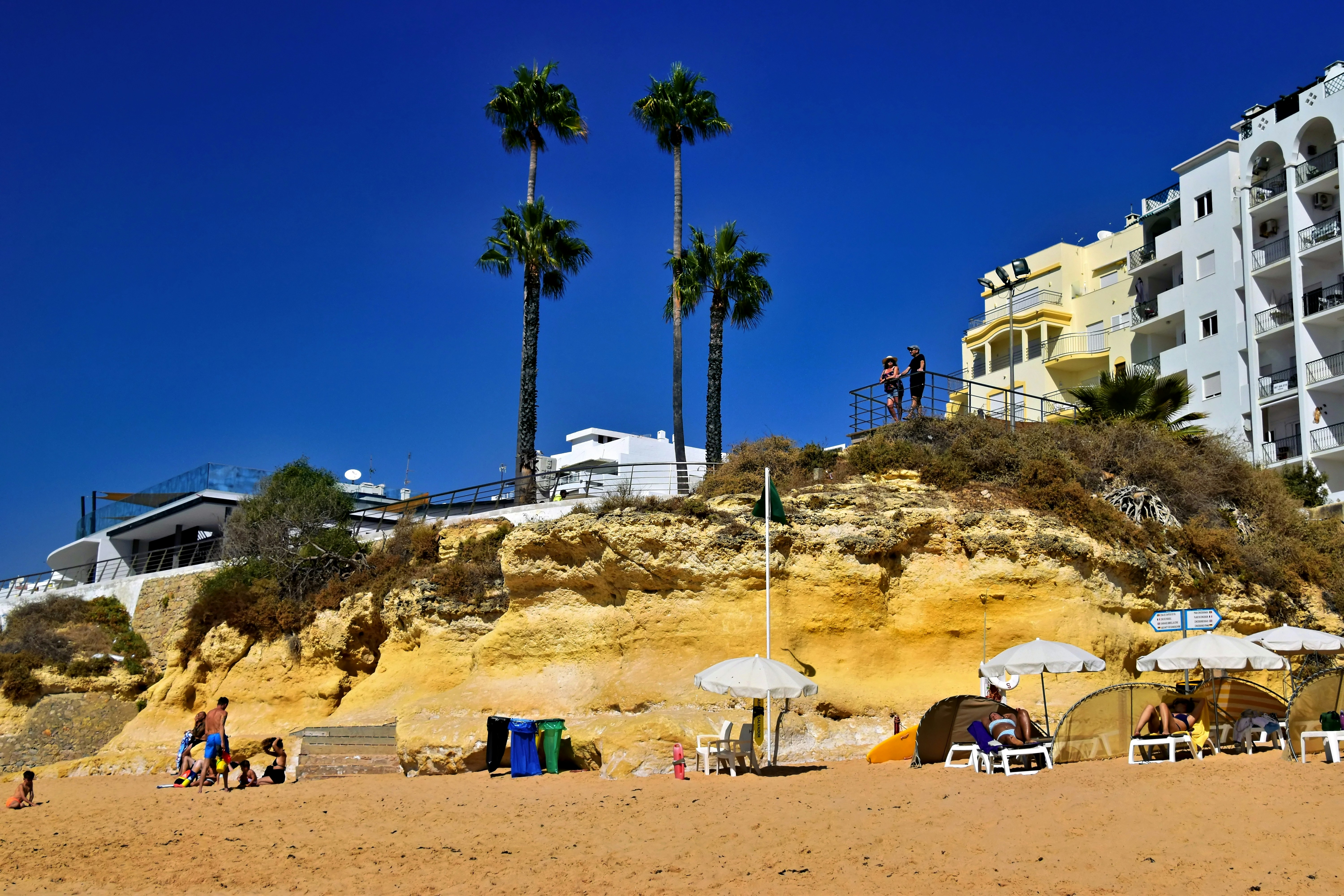 Palm Sentinels Over a Golden Cliff: A Sunlit Beachfront Moment