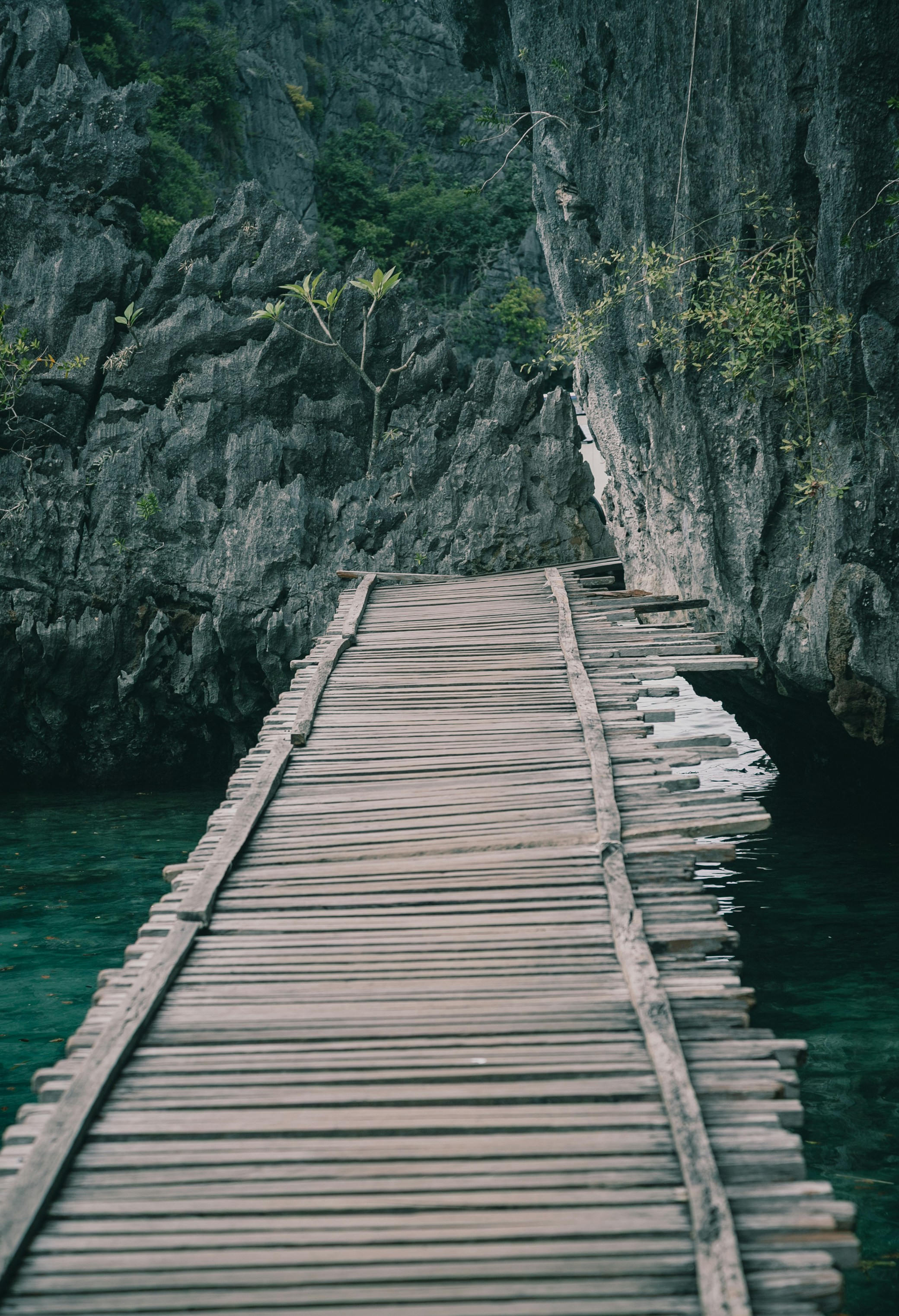 Timber Bridge into a Turquoise Cove