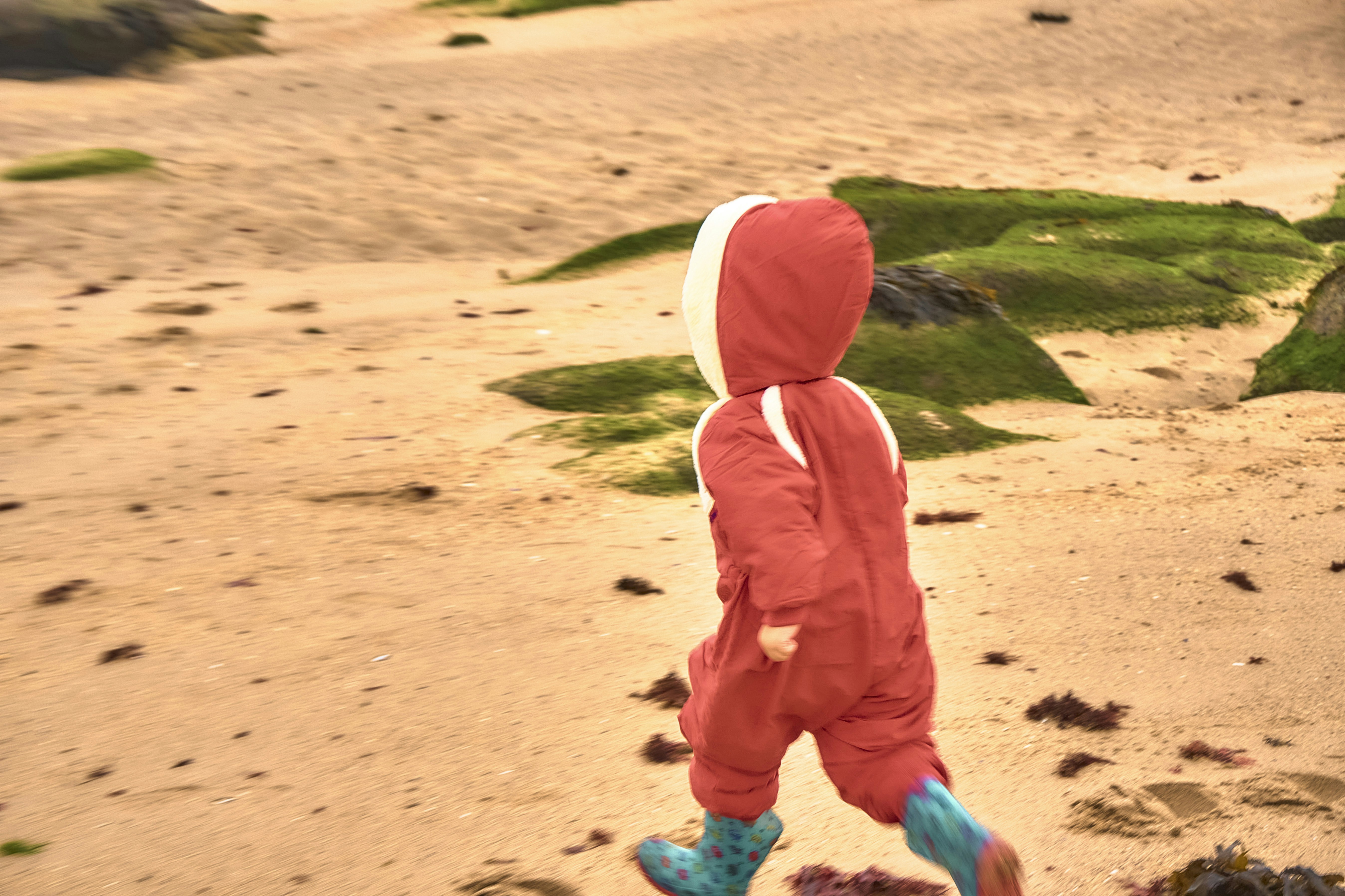 Red Snowsuit Dash Across a Mossy Beach