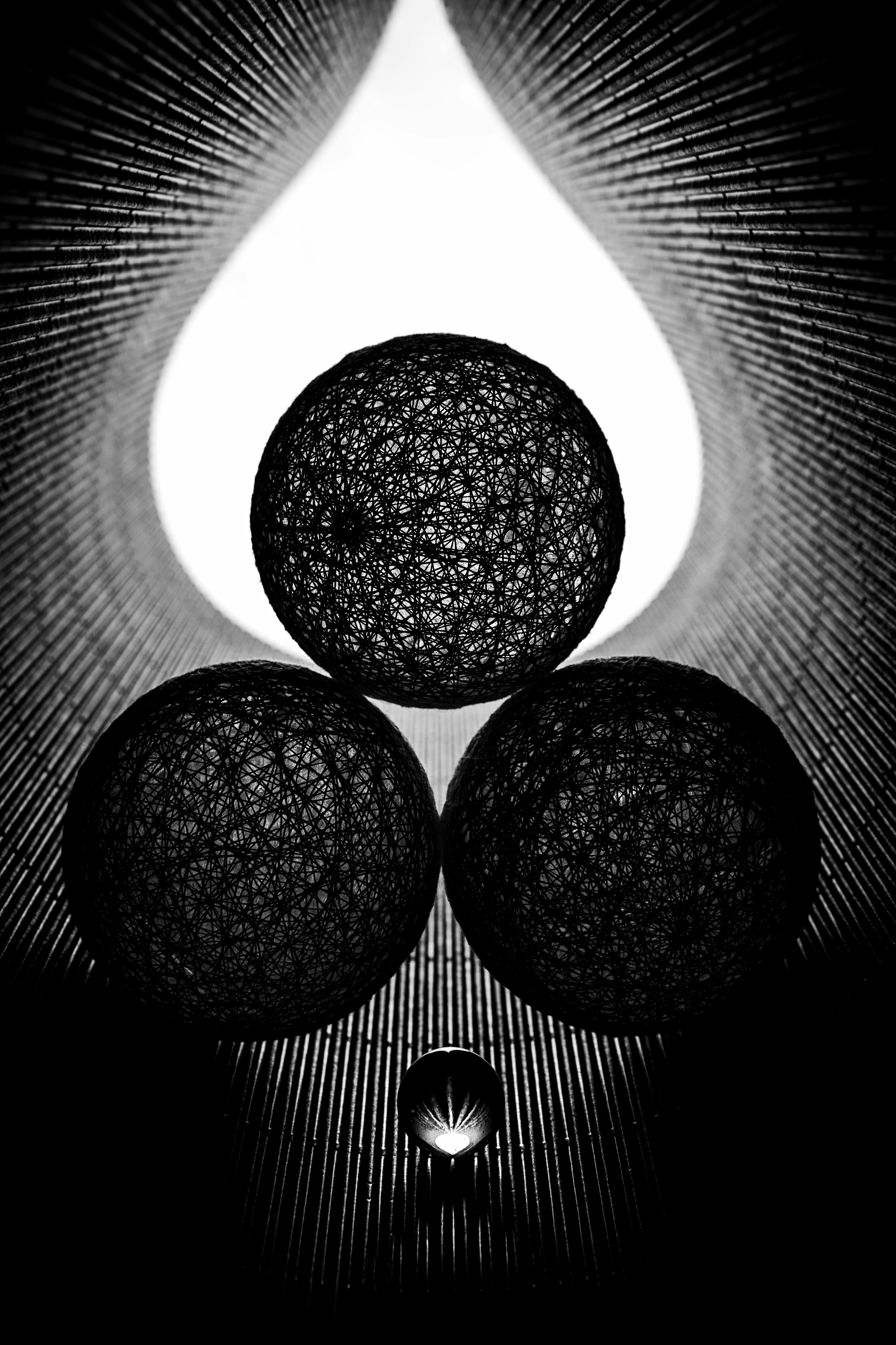 Photo by Le Tia with Canon EOS 5D Mark IV