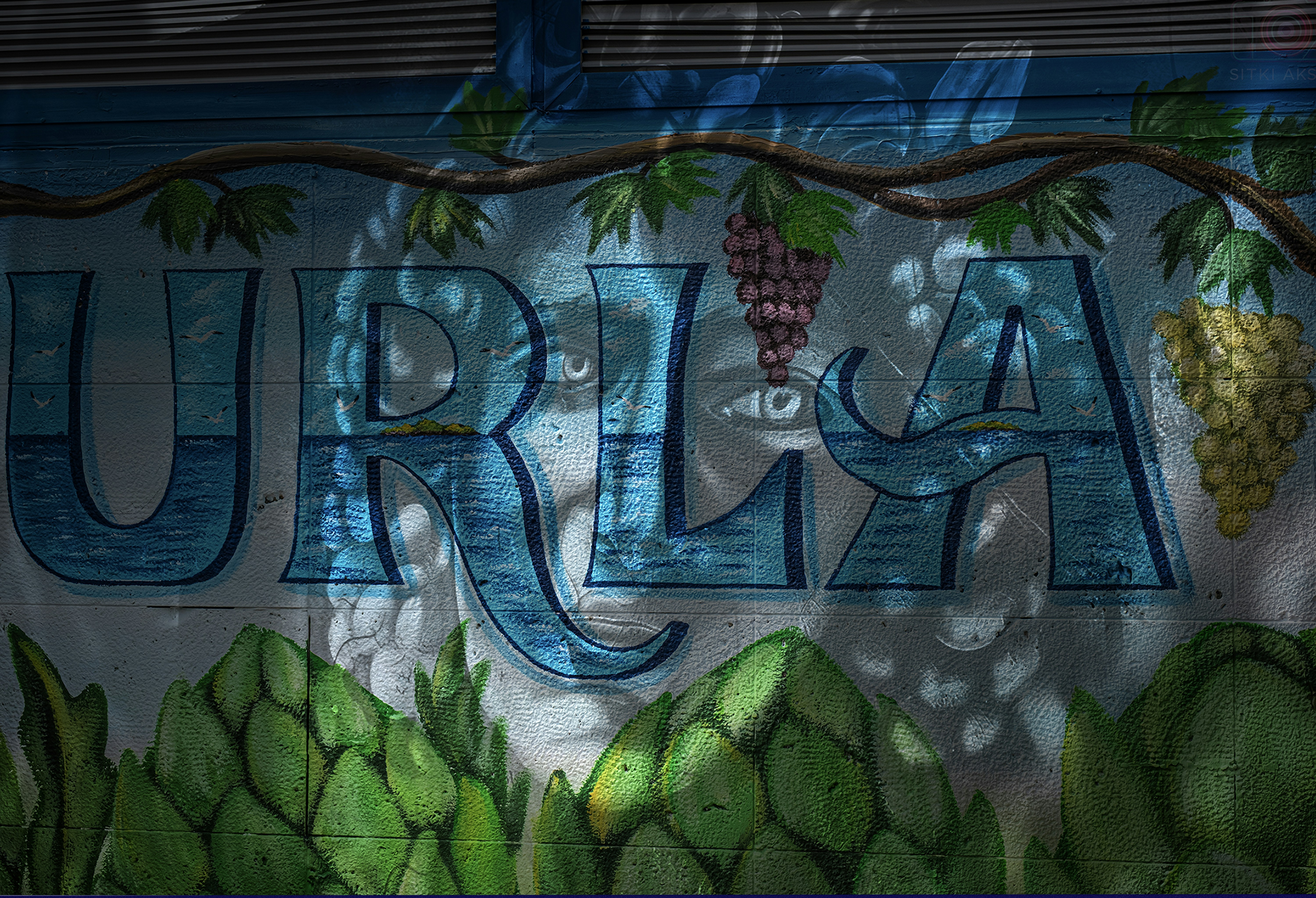 Azure Lettering Amid Grapevines: A Sun-Dappled Wall Mural