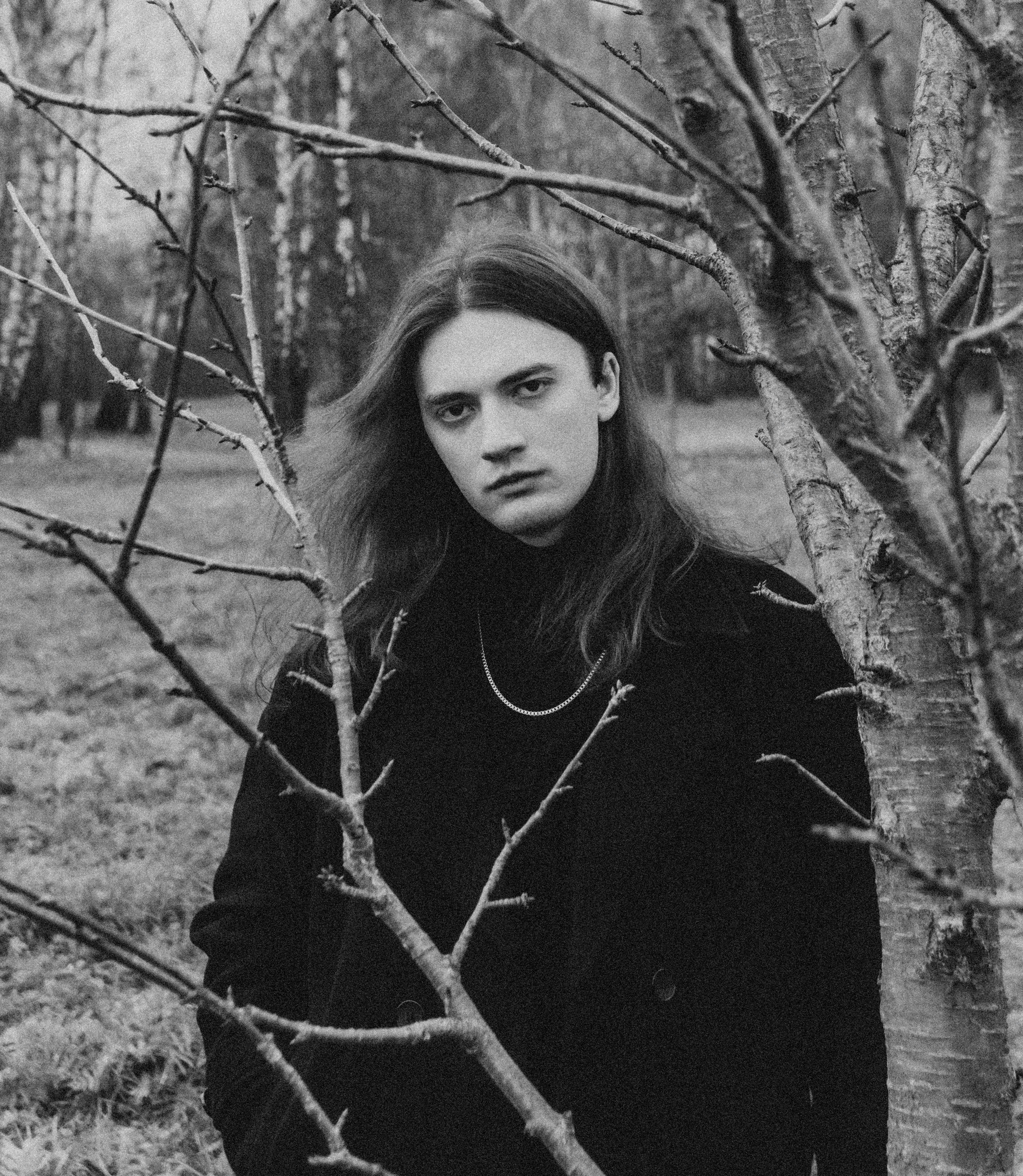 Gaze Through the Twig Lattice: A Quiet Forest Portrait