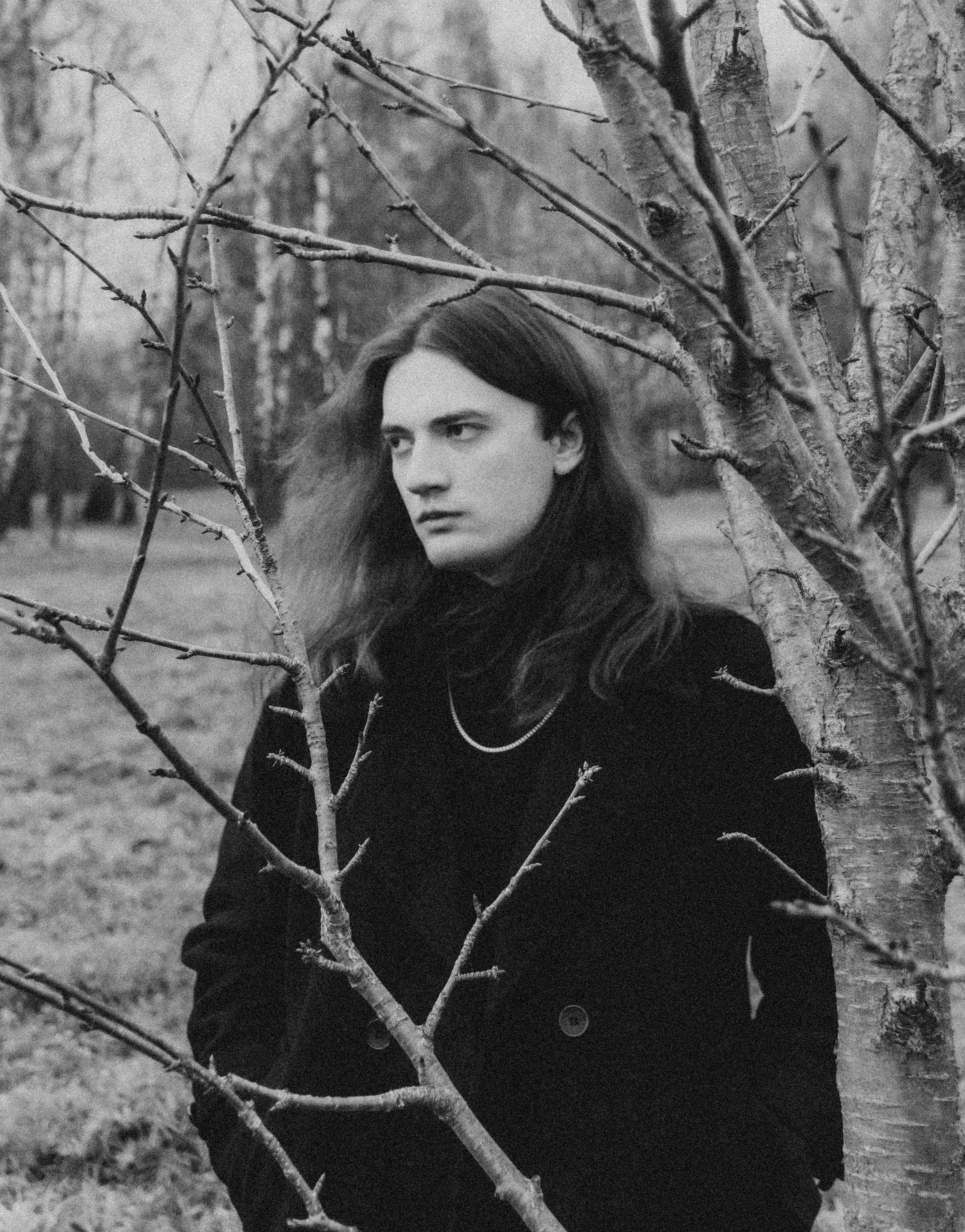 Gaze Through the Thicket: A Quiet Portrait in Winter Gray