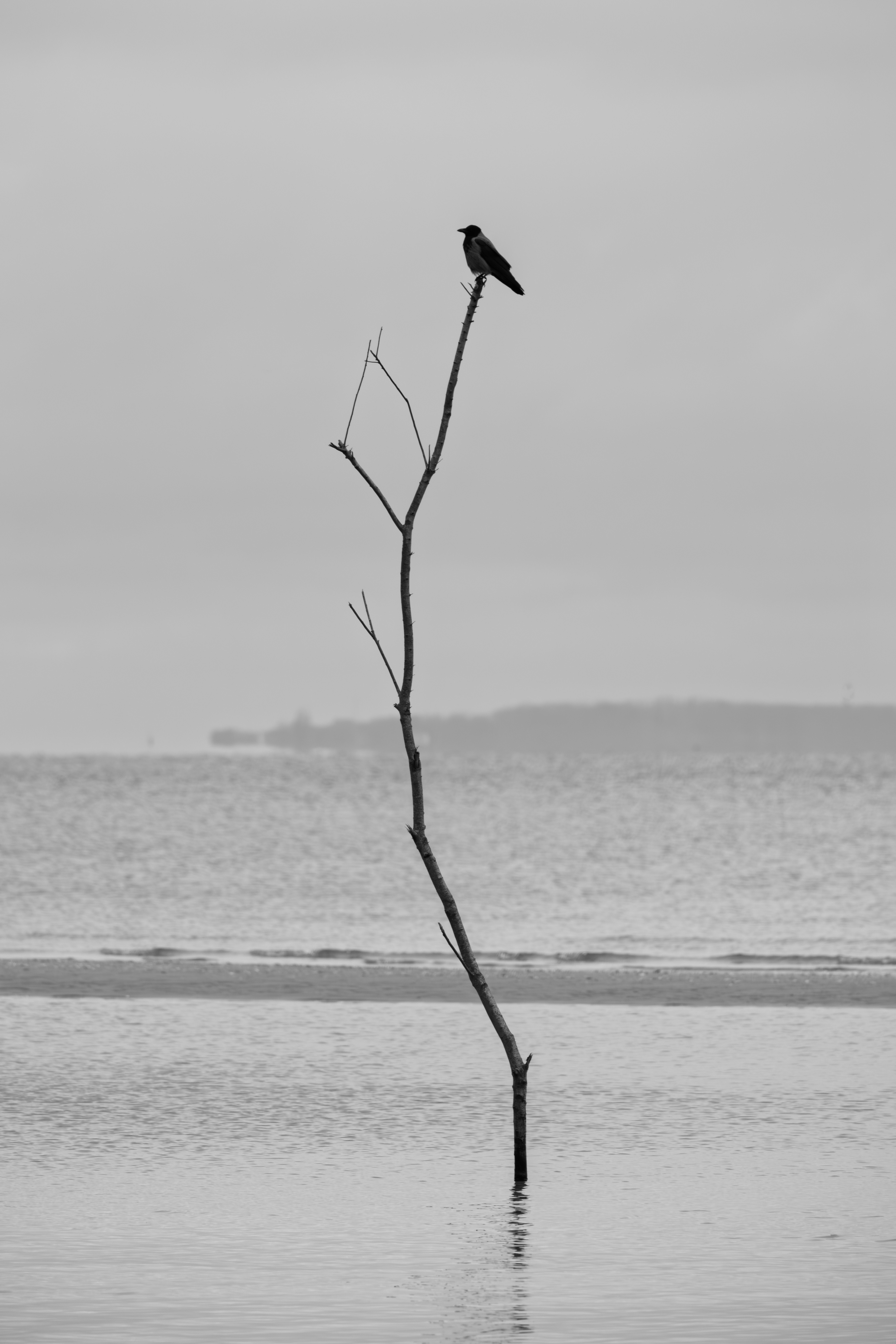 Photo by Nico Knaack with Fujifilm X-T5