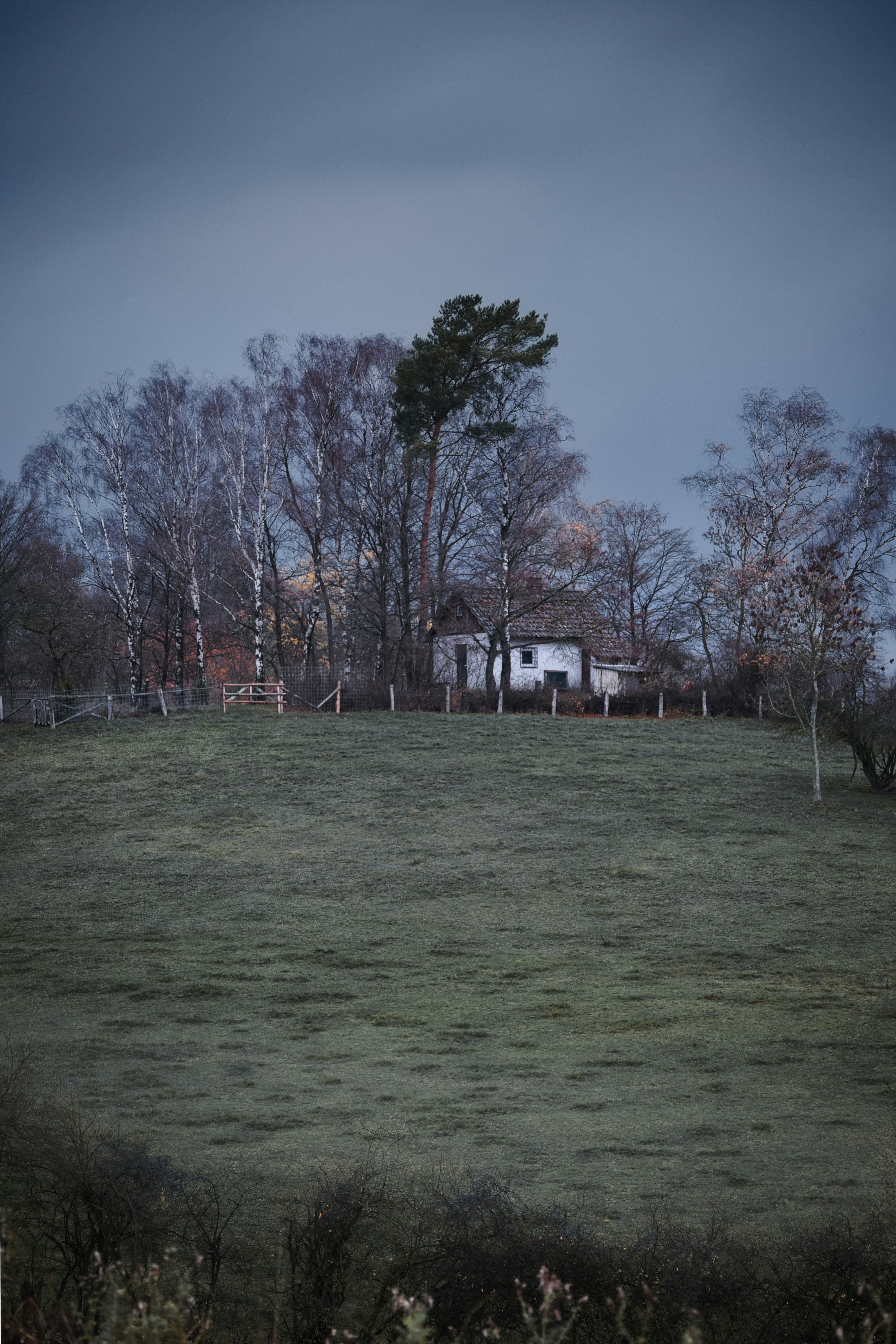 Photo by Matteo K with Nikon Z50