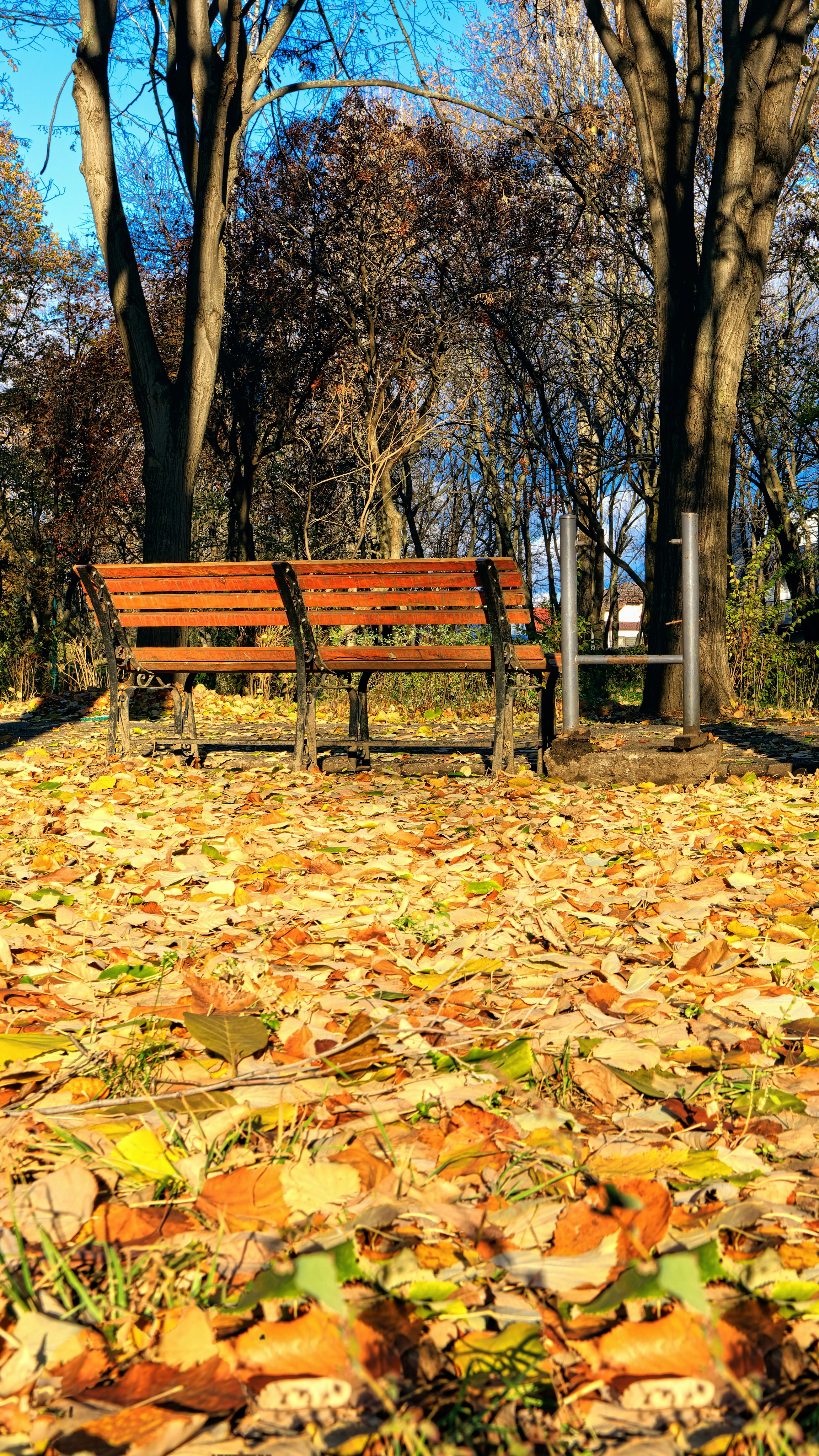 Parc Olimpia, Ploiesti, Romania