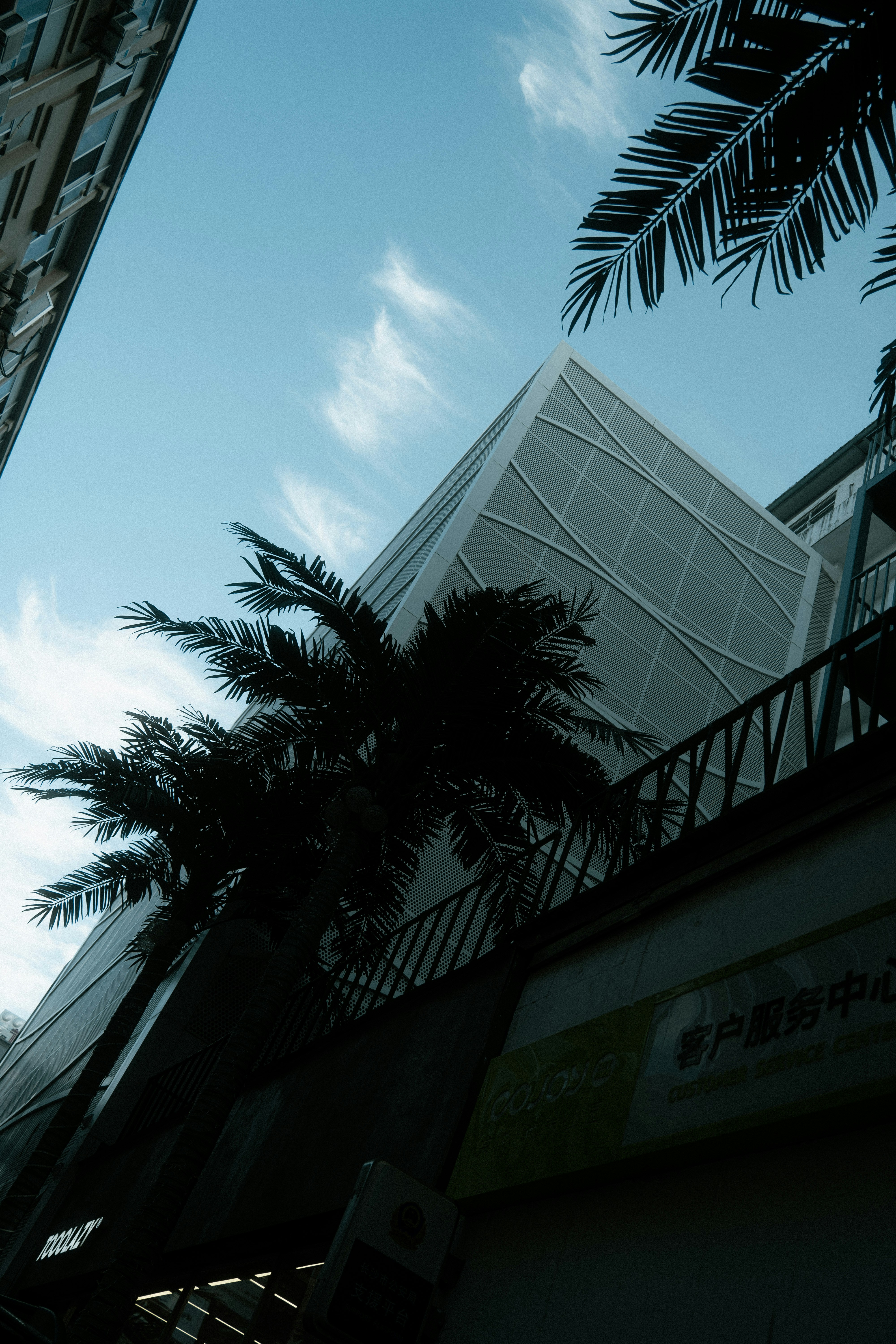 Skyward Angles: Palm-Framed Pyramid Meets the Urban Skyline