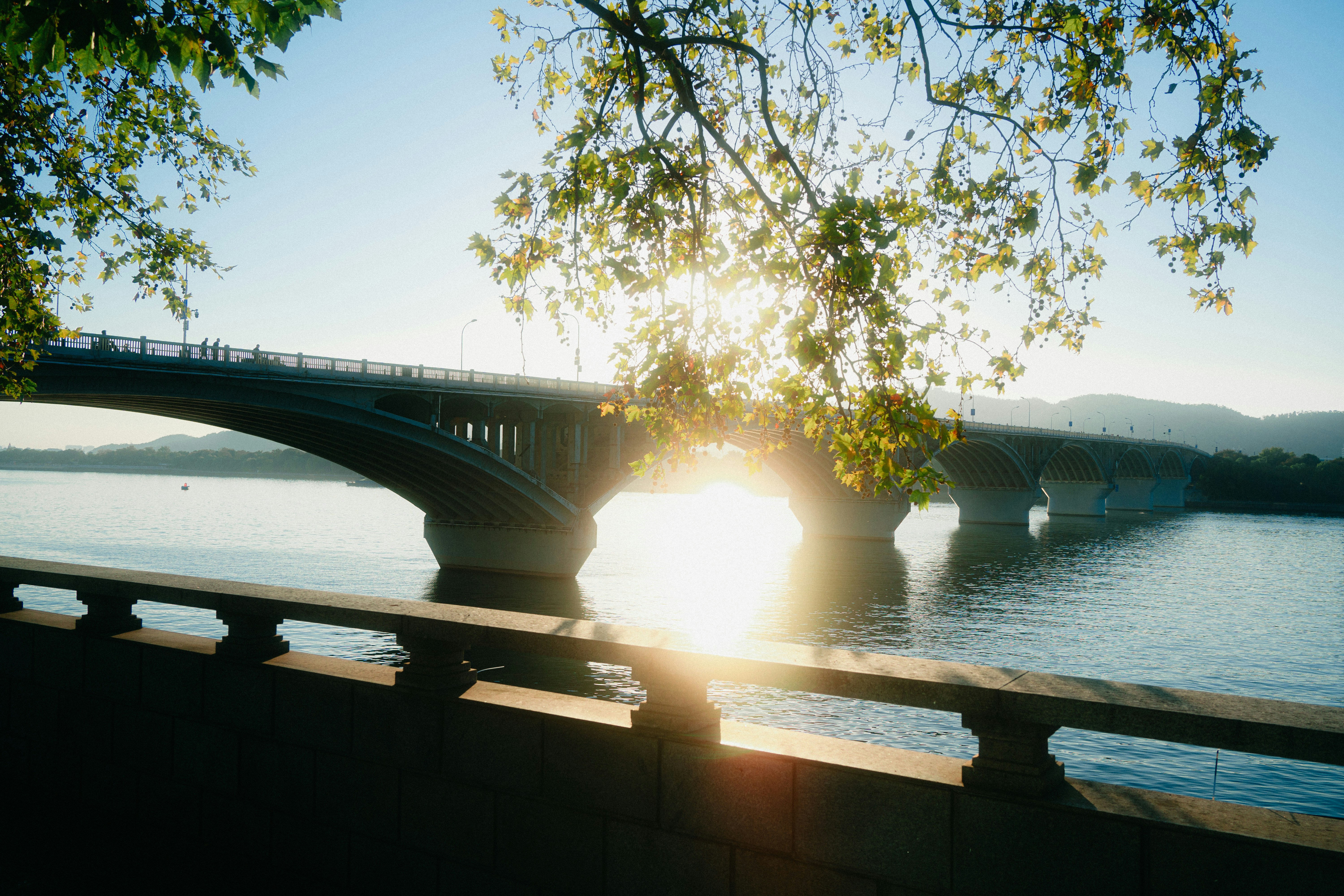 Photo by Patrick Shaun with Sony Alpha 7C