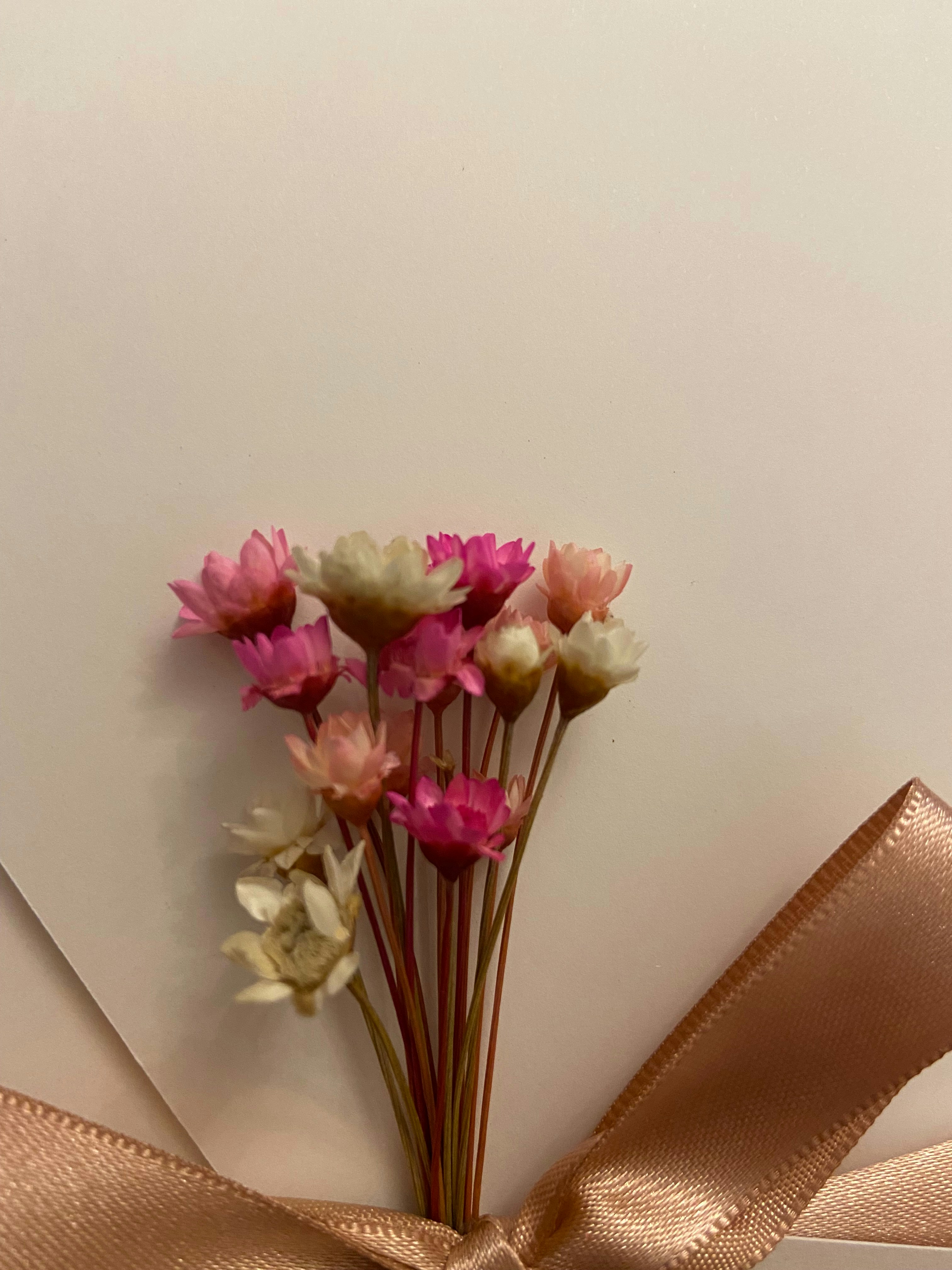Veronica Penteado (@veronicapenteado) | Komunitas Foto Unsplash