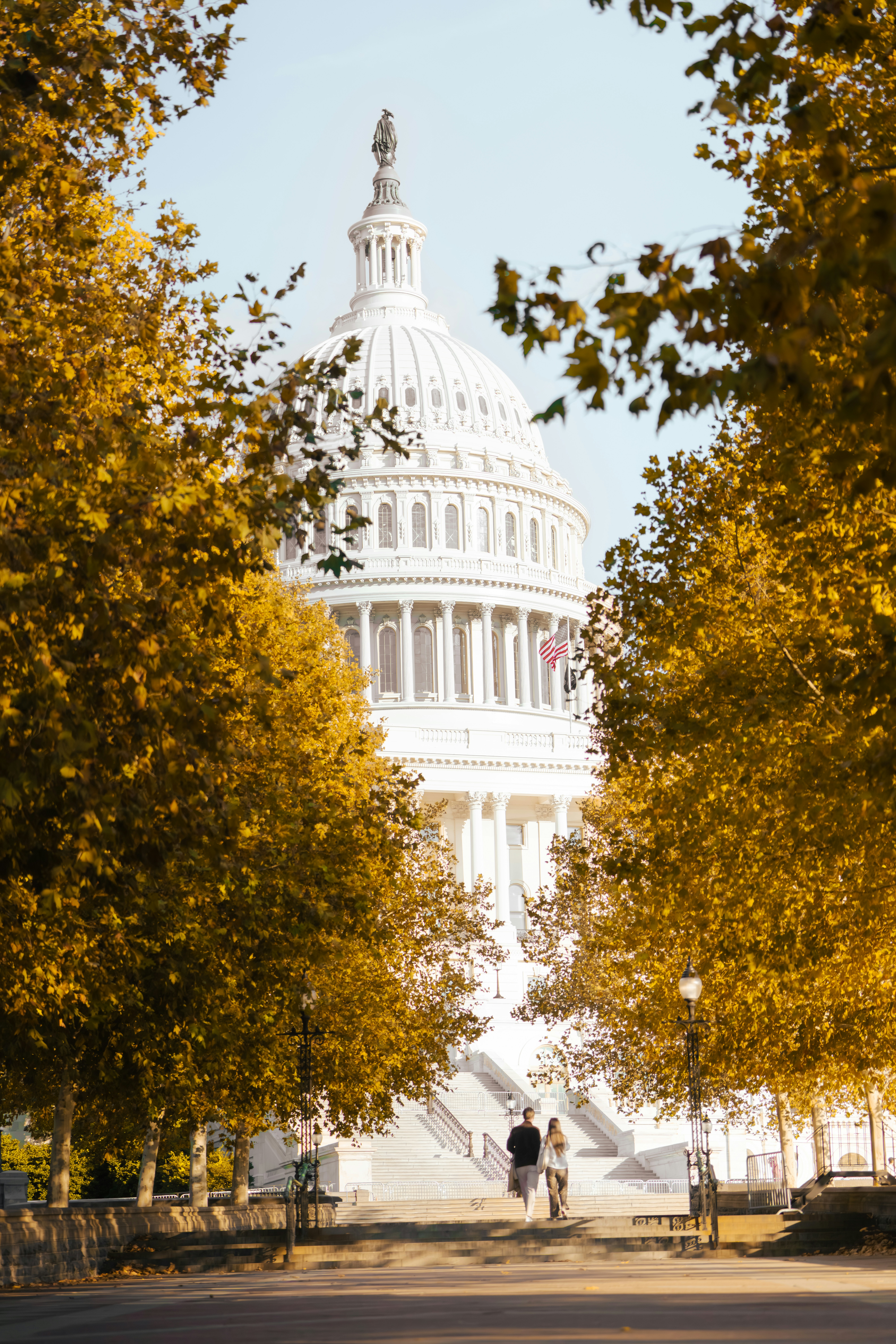 Autumn Archway: Gilded Trees Frame the Capitol Dome