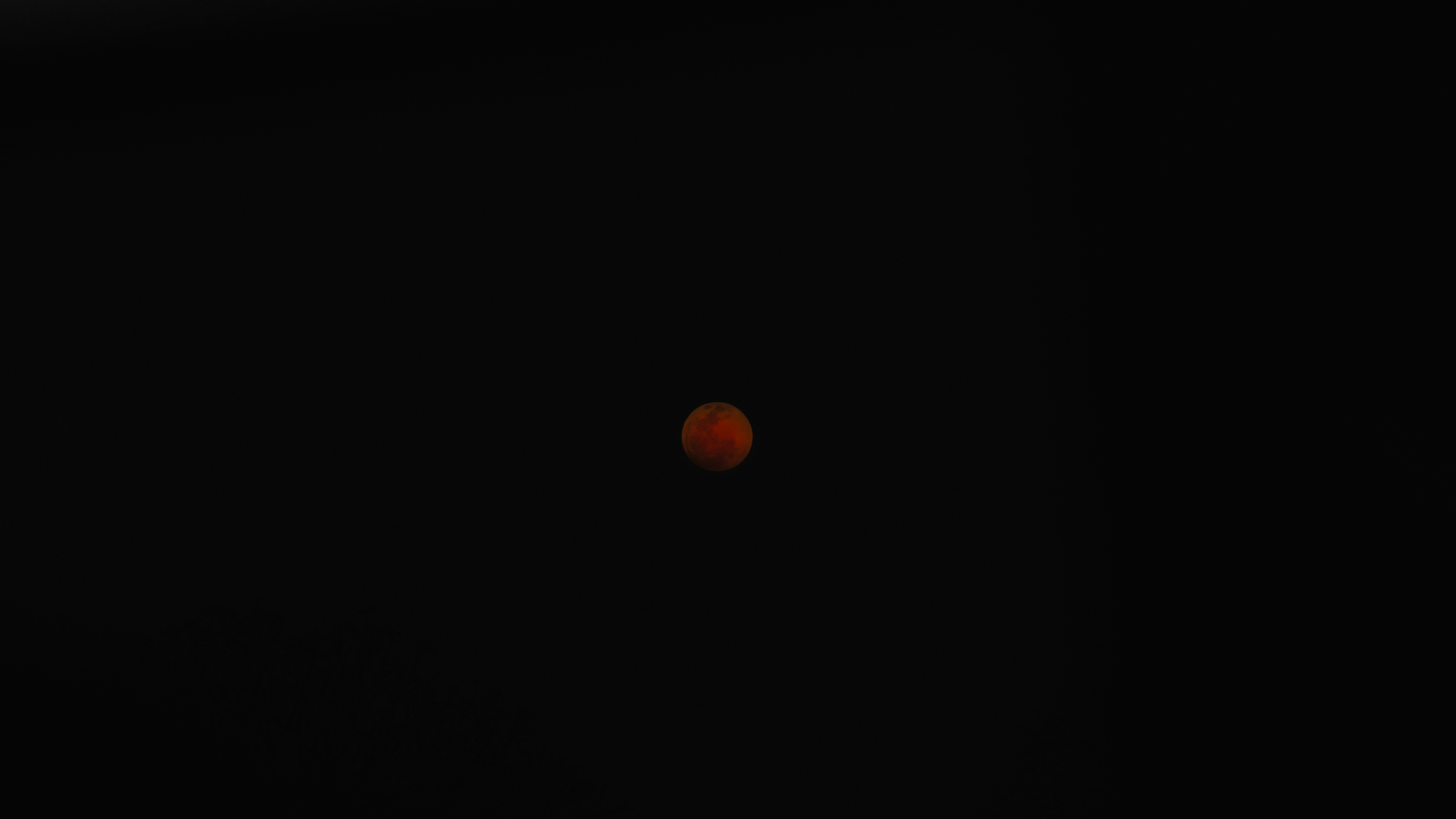 Red Moon Emerging from Velvet Night