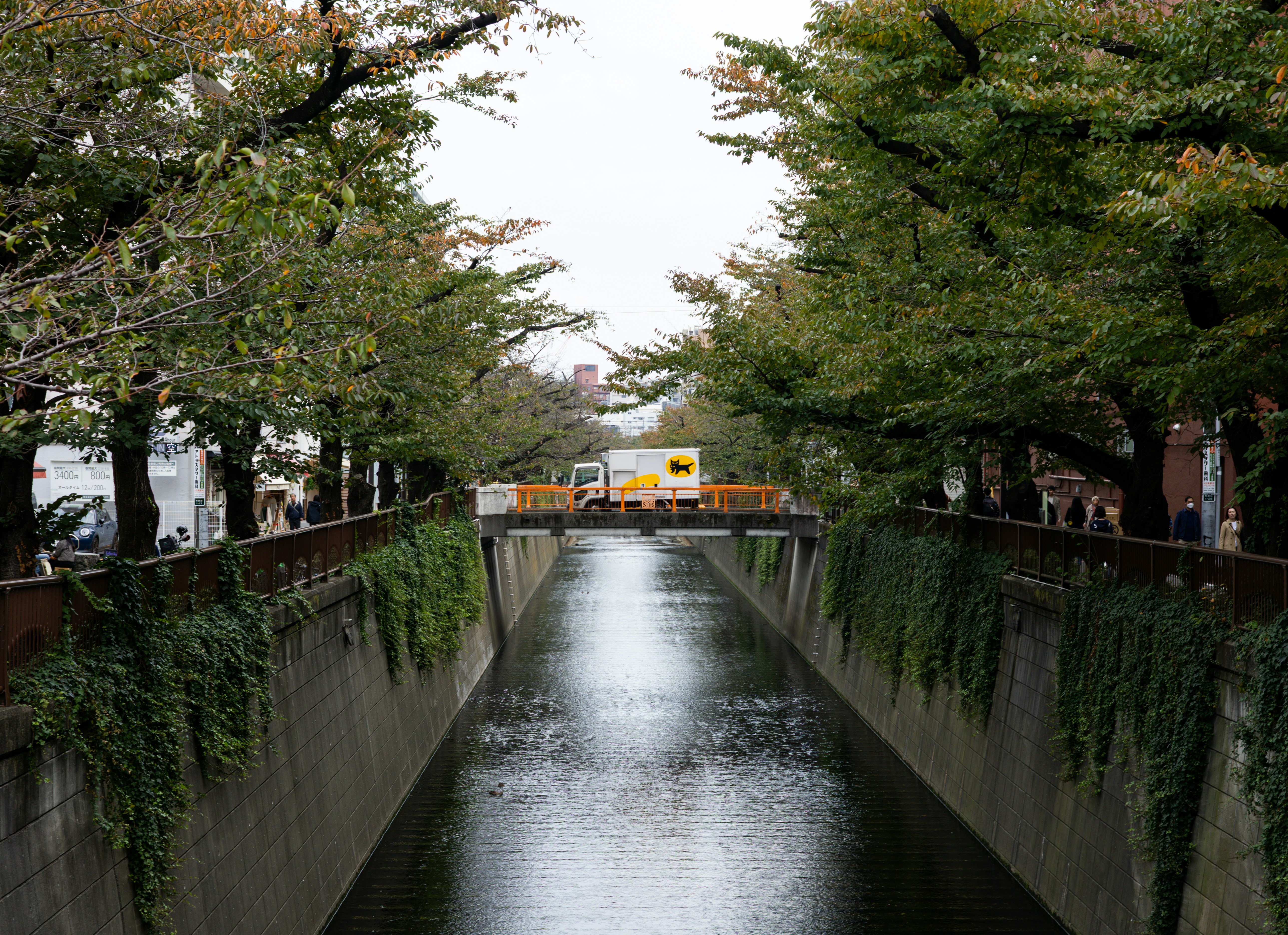 Photo by Pratiksha Singh with Canon EOS R8