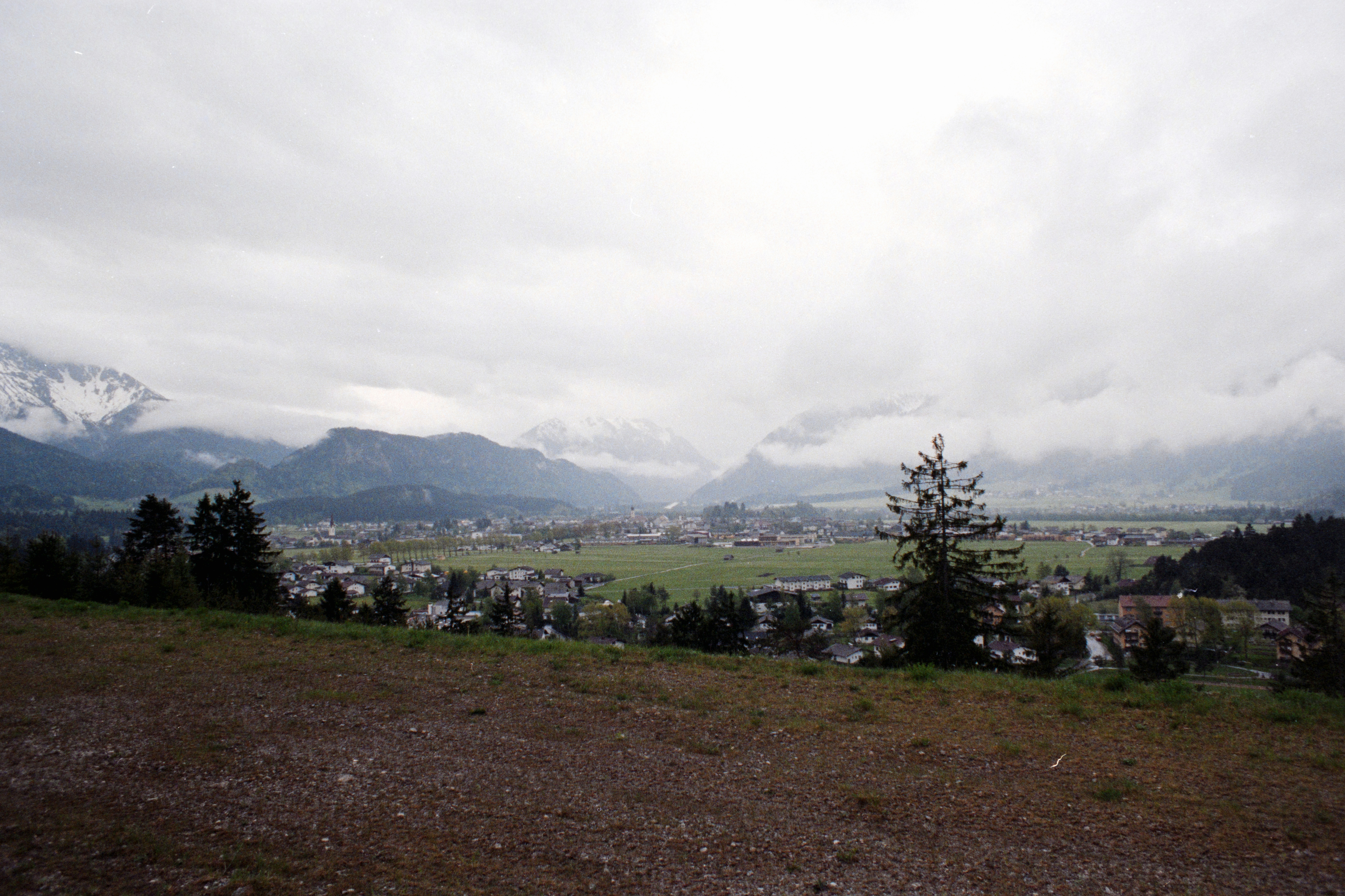 Valley in the Clouds: Lone Foreground Tree Framing a Distant Alpine Town