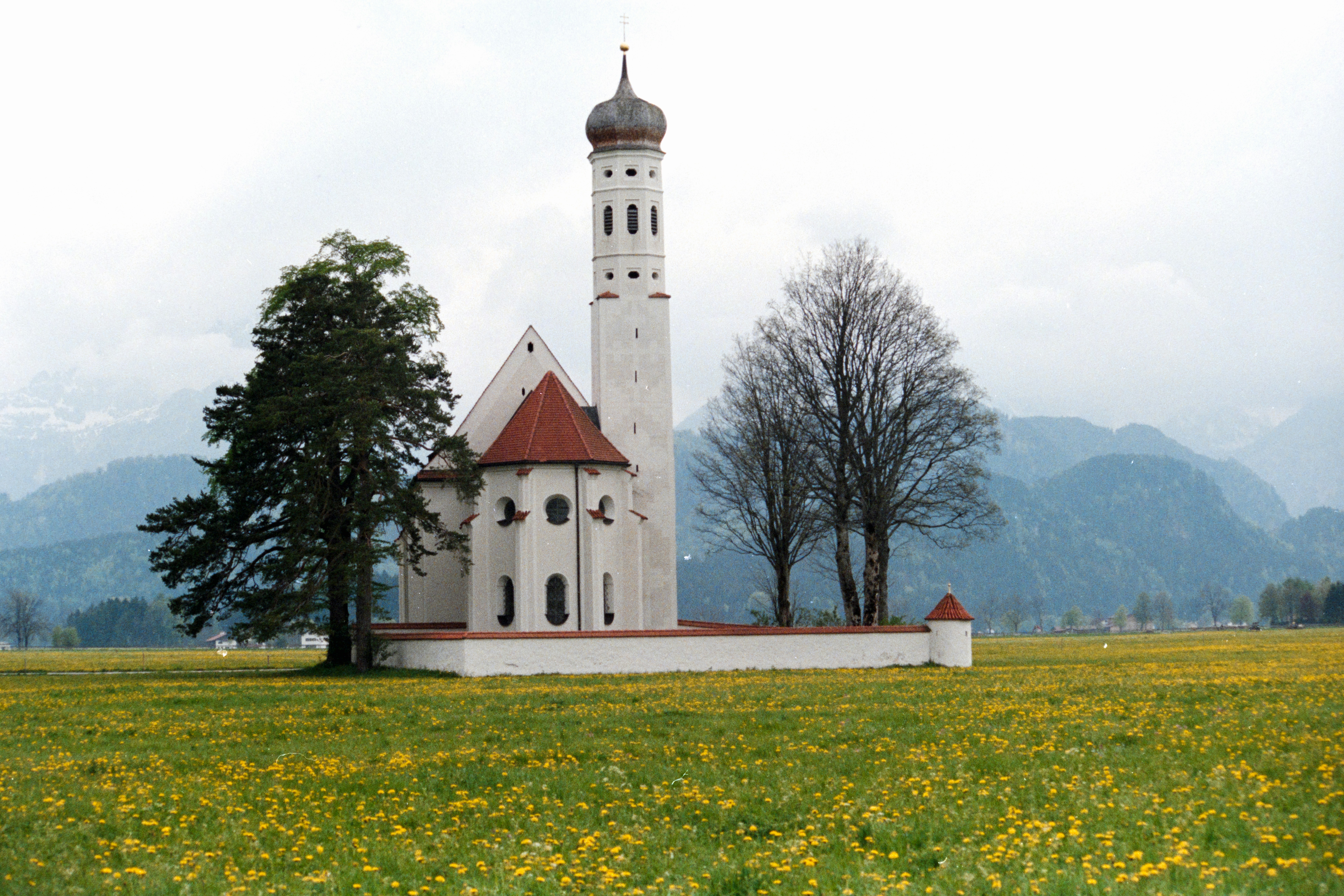 White Chapel Quietly Rising Over a Field of Golden Blooms