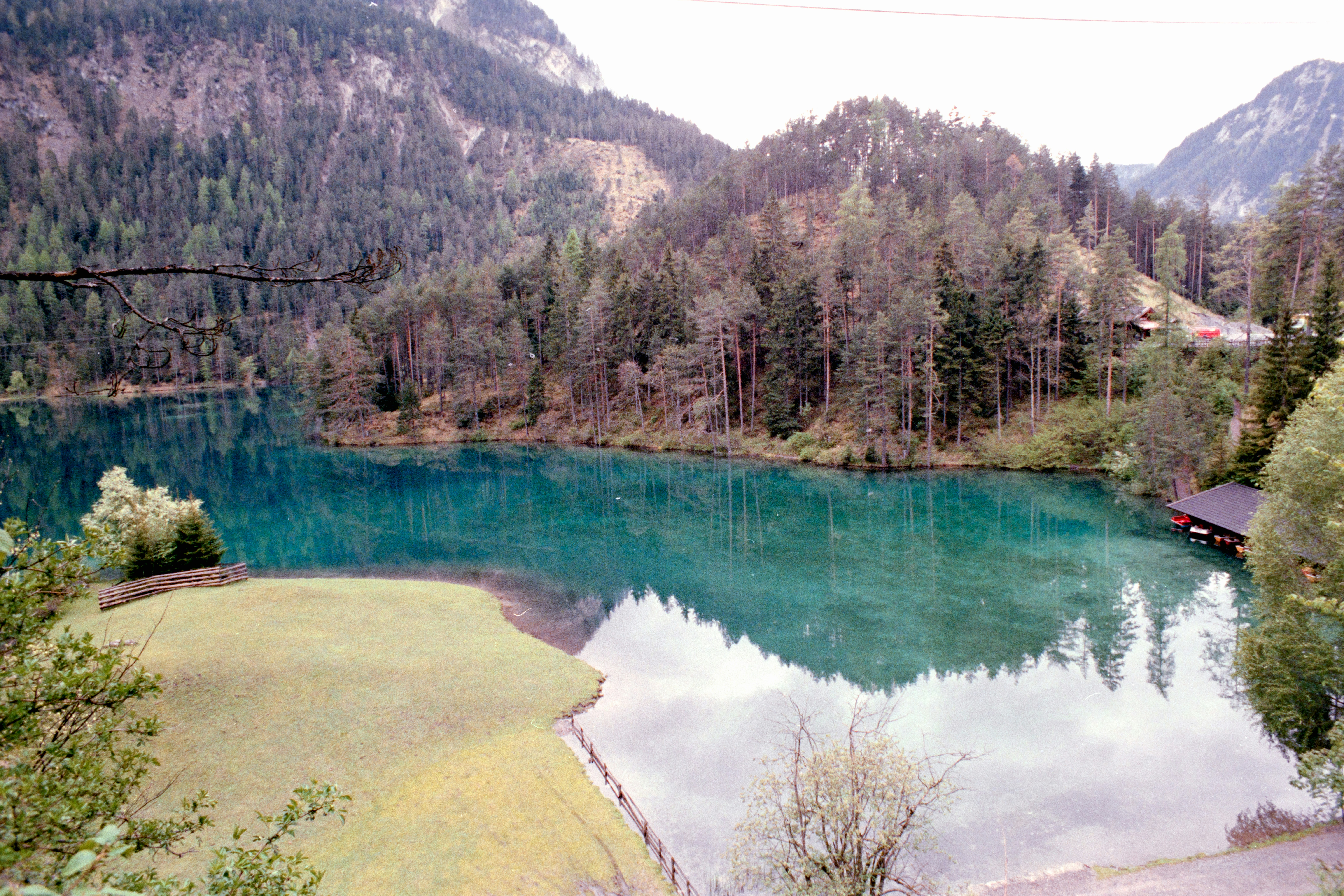 Emerald Lake Overlook: Glassy Turquoise Waters Beneath Alpine Pines