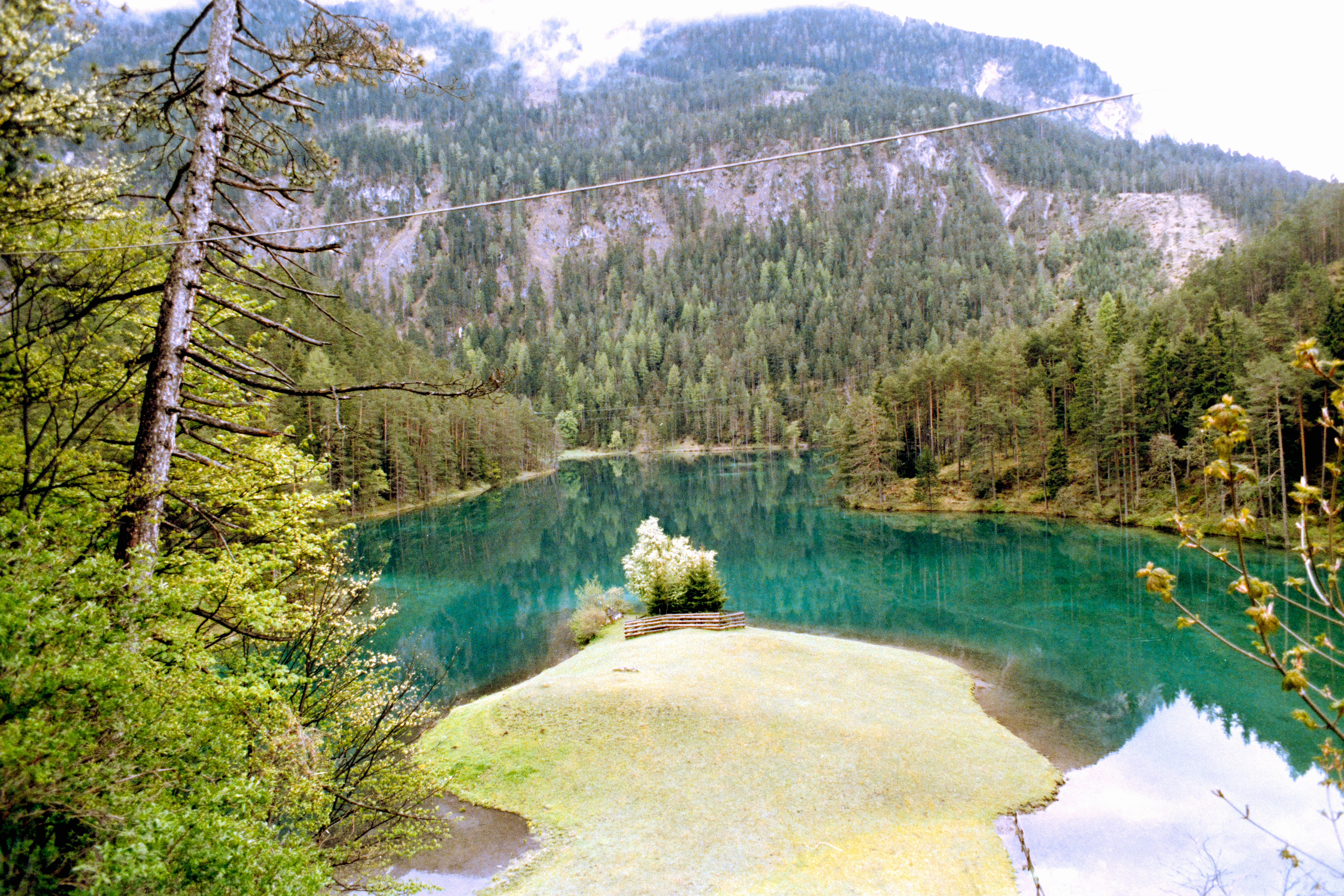 Emerald Island on a Glassy Alpine Lake