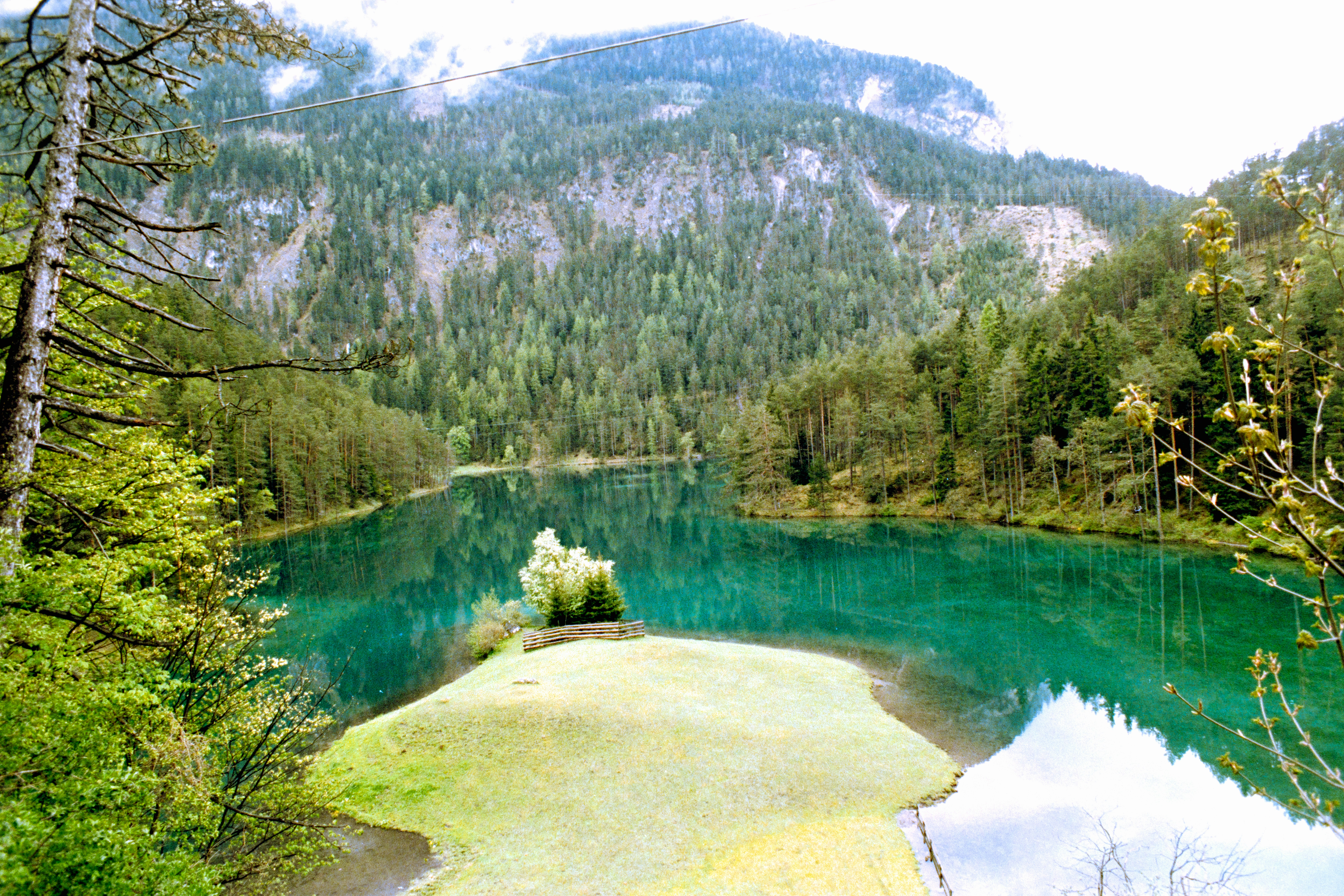 Emerald Lake Promontory: A Grassy Finger Reaching into Turquoise Alpine Waters