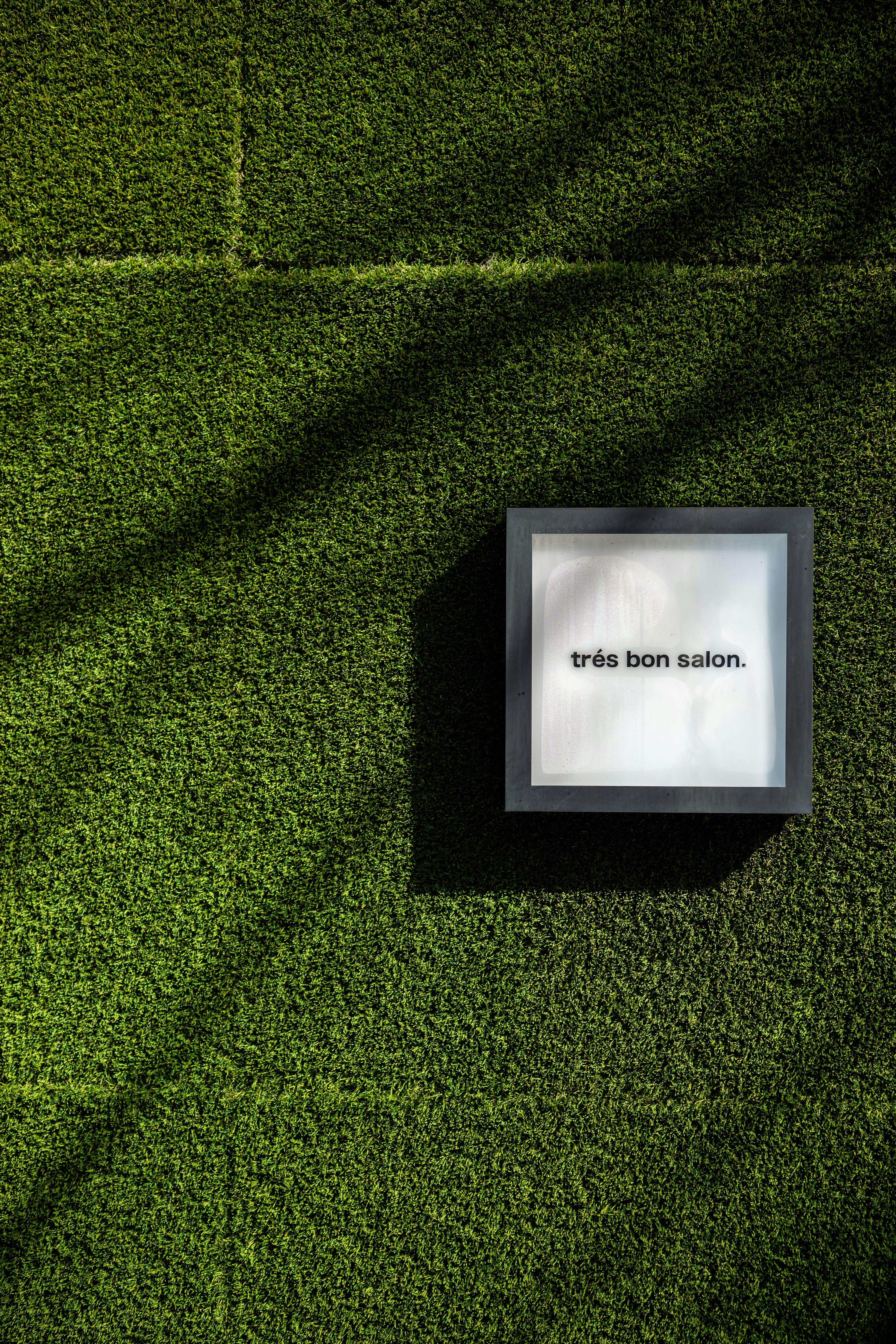 Moss-Green Wall with a Framed Phrase: très bon salon