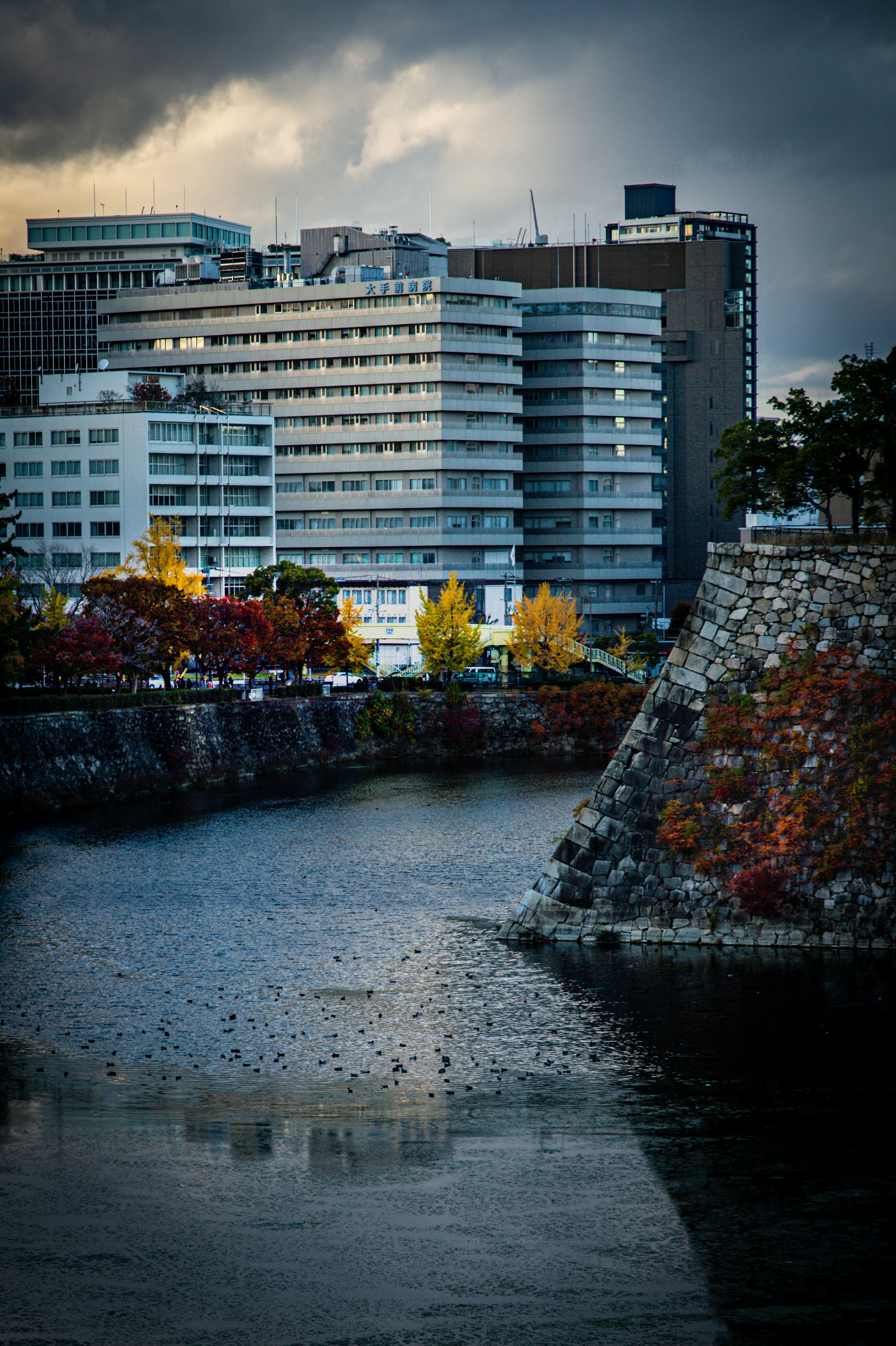 Photo by 5010 with Nikon Df