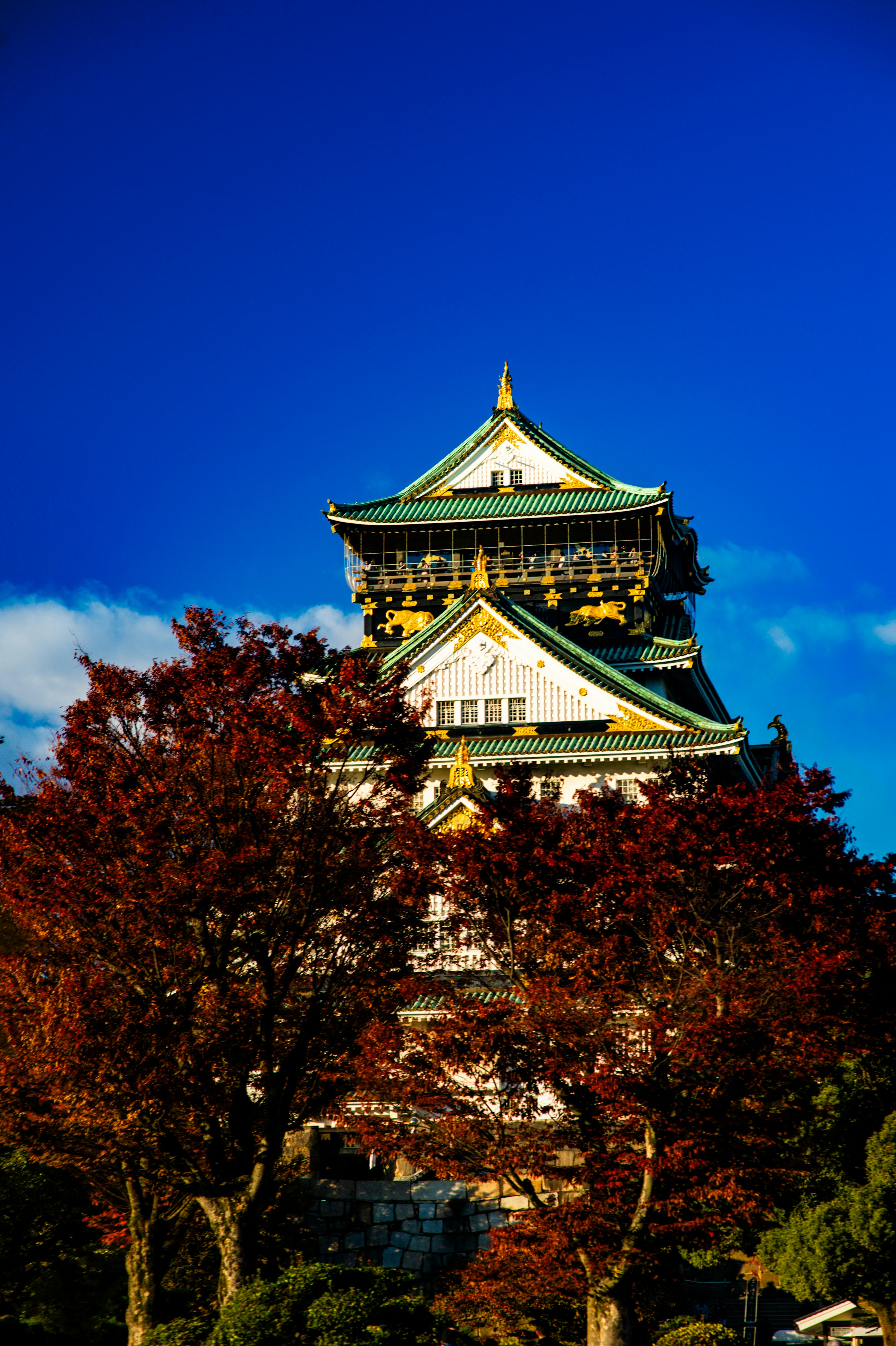 Autumn Crown: Osaka Castle Rising Through Crimson Canopy