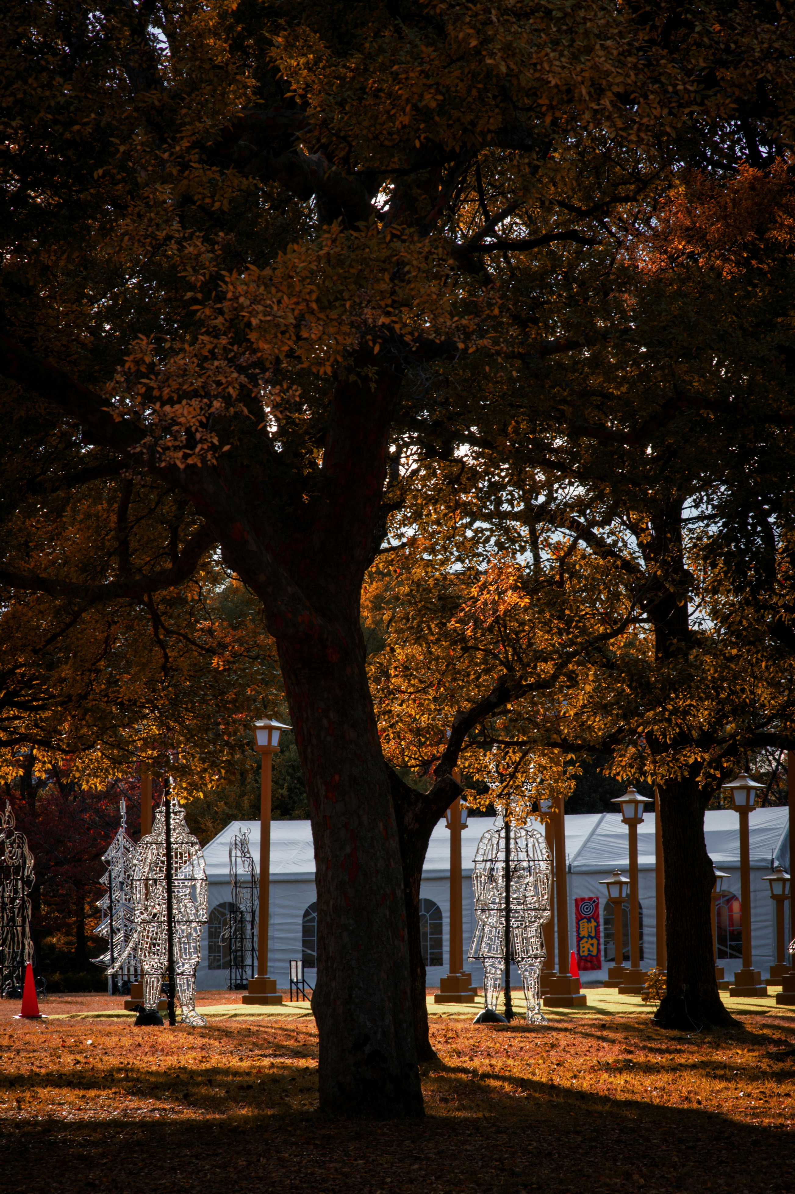 Oak Sentinel Beneath Wireframe Light Trees in Autumn Park