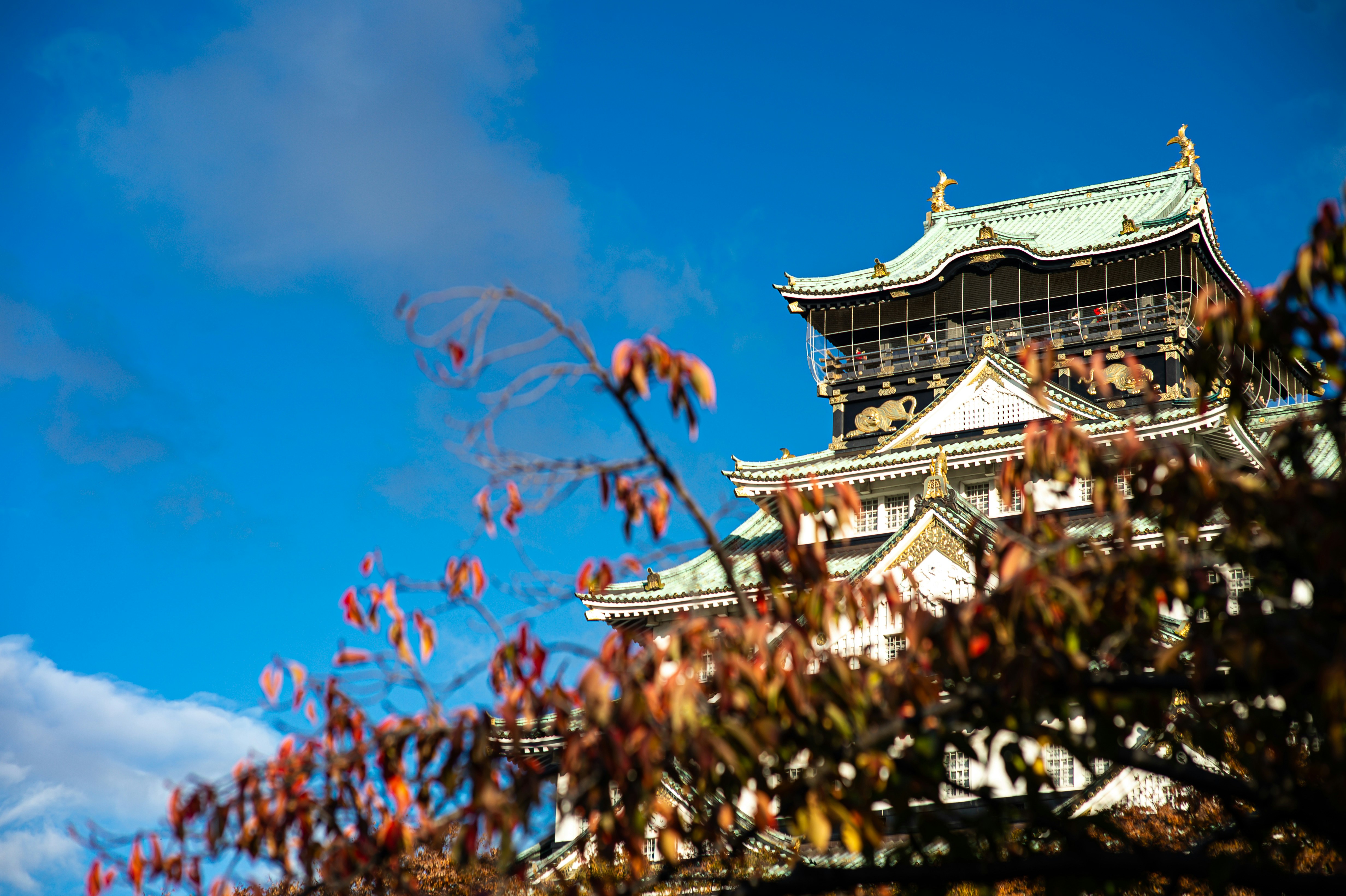 Photo by 5010 with Nikon Df