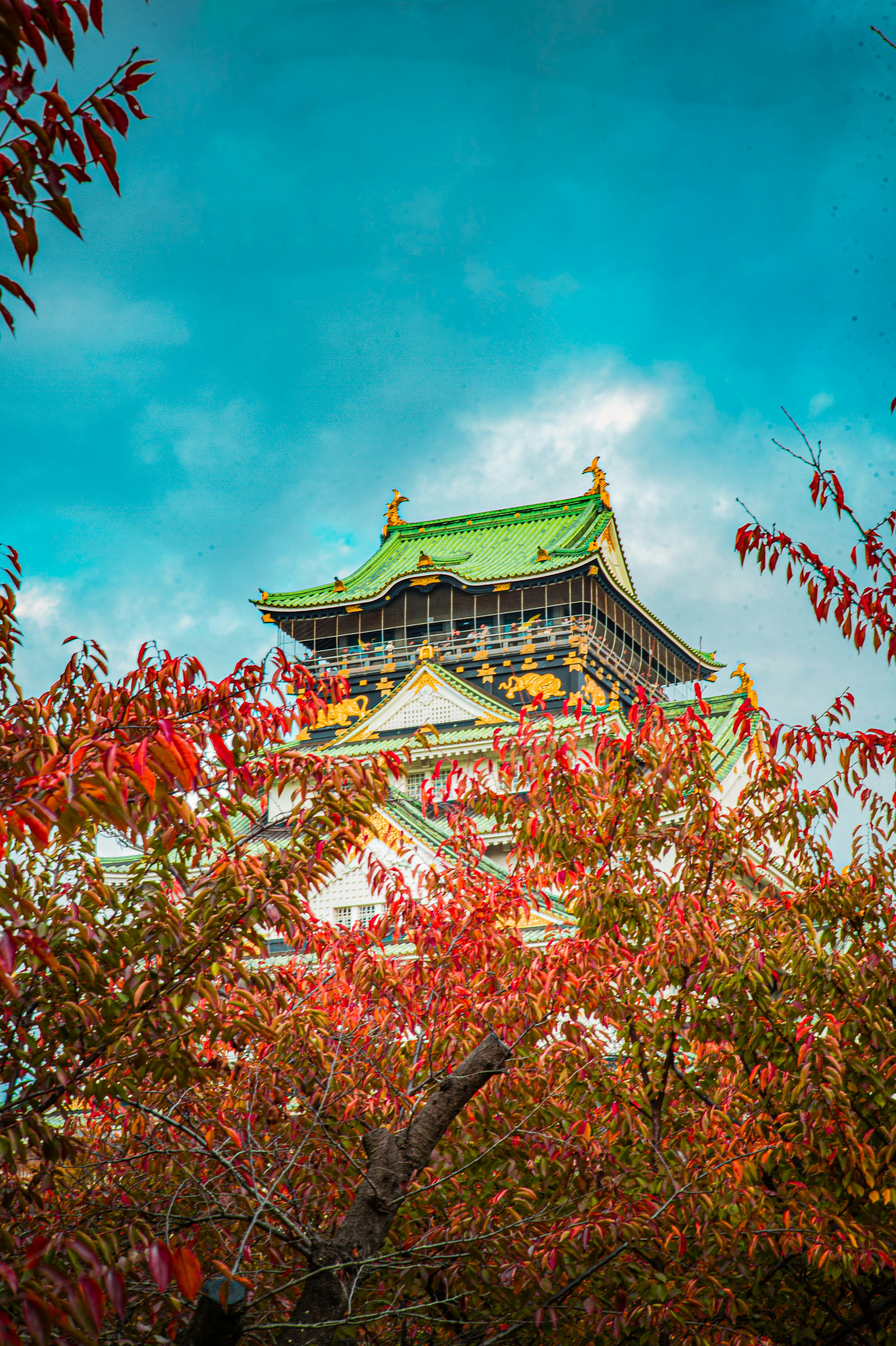 Green-Topped Pagoda Framed by Crimson Autumn Foliage