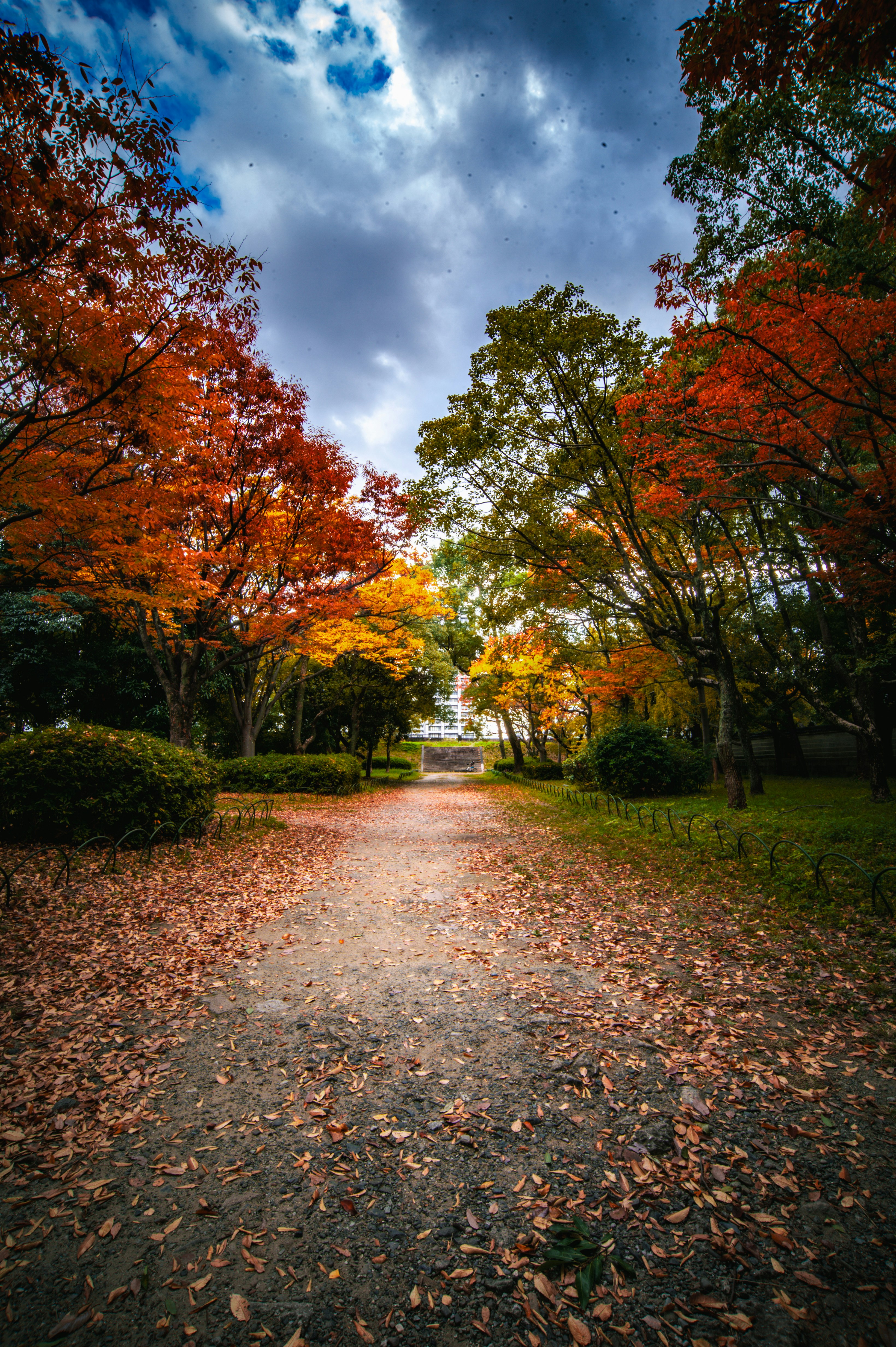 Autumn's Vermilion Aisle: A Quiet Park Path Toward the Light