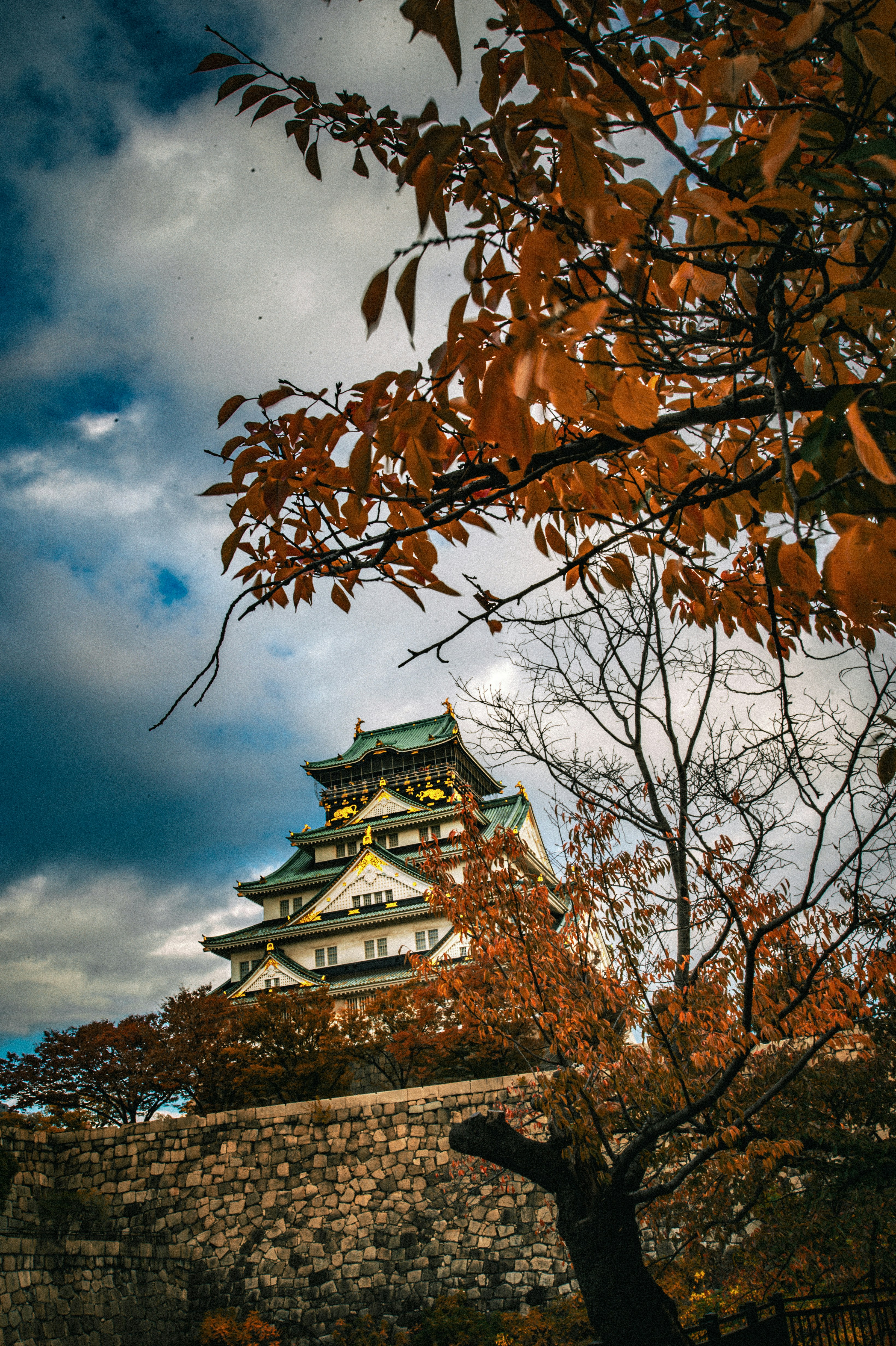Verdigris Roofs and Ember Foliage: A Fall Portrait of a Japanese Castle