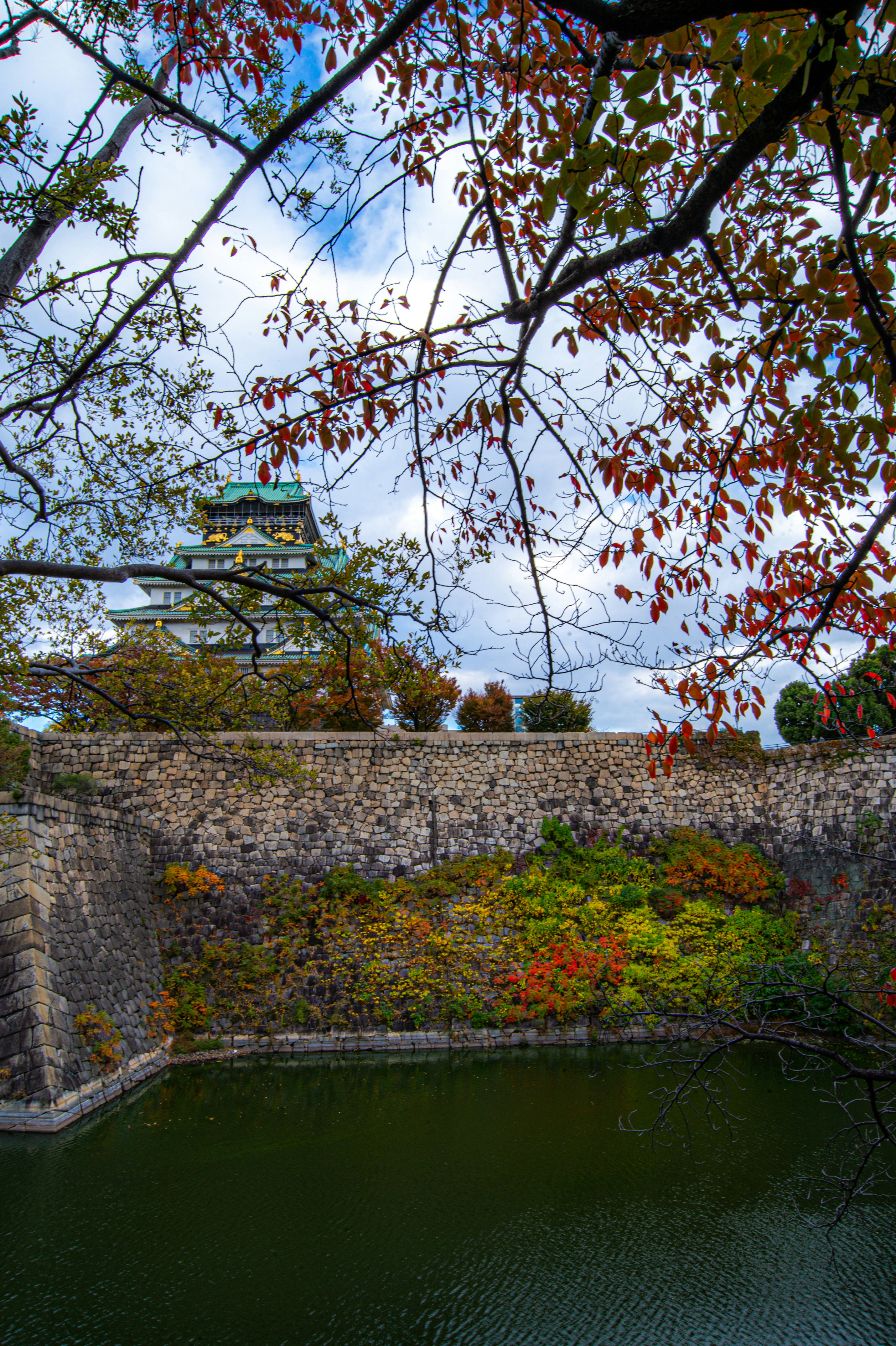 Red-Leaf Framing Osaka Castle Over a Stone Moat