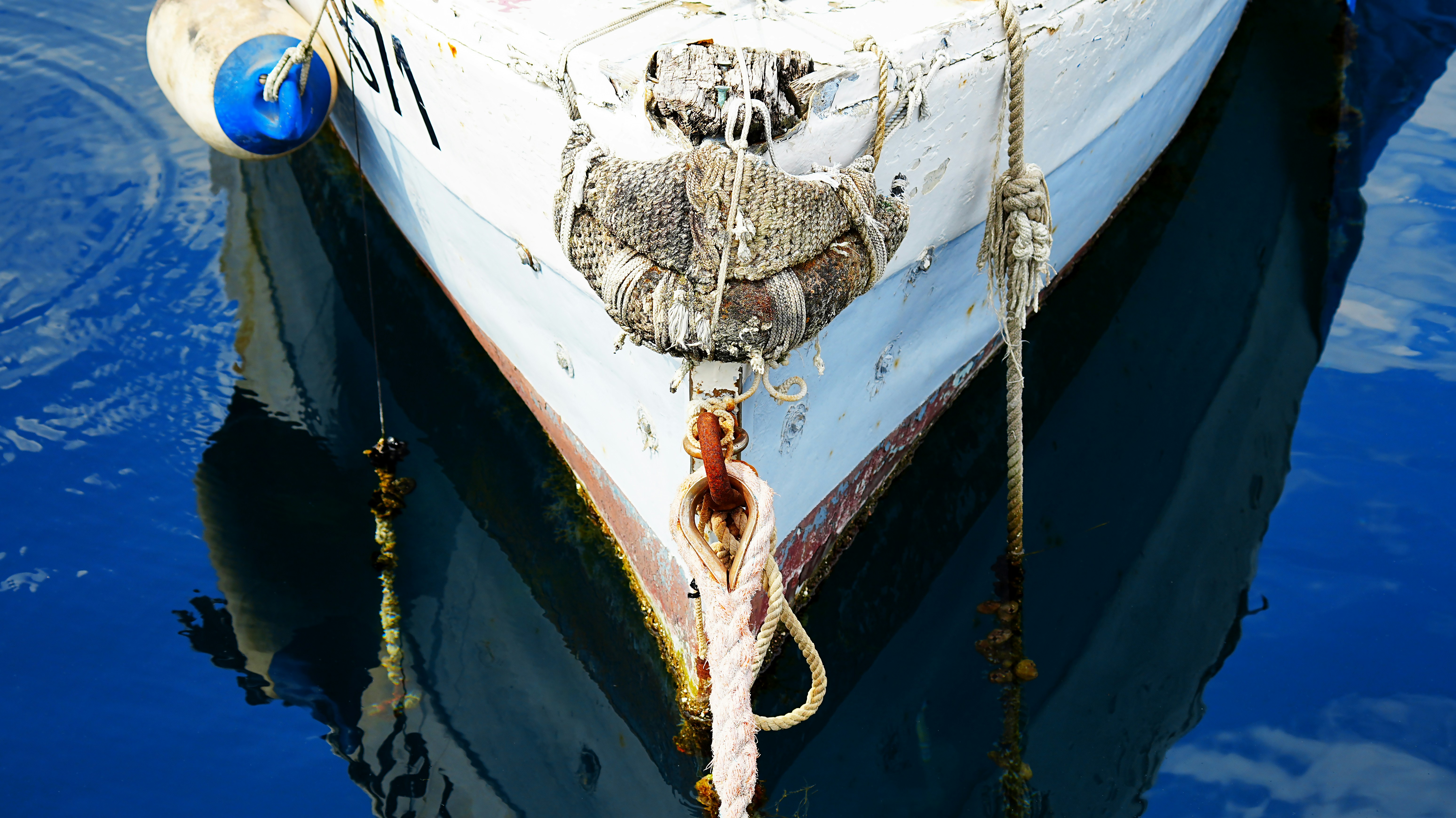 Bowline in the Blue: Pink Rope Gripping the Bow of a Docked Boat