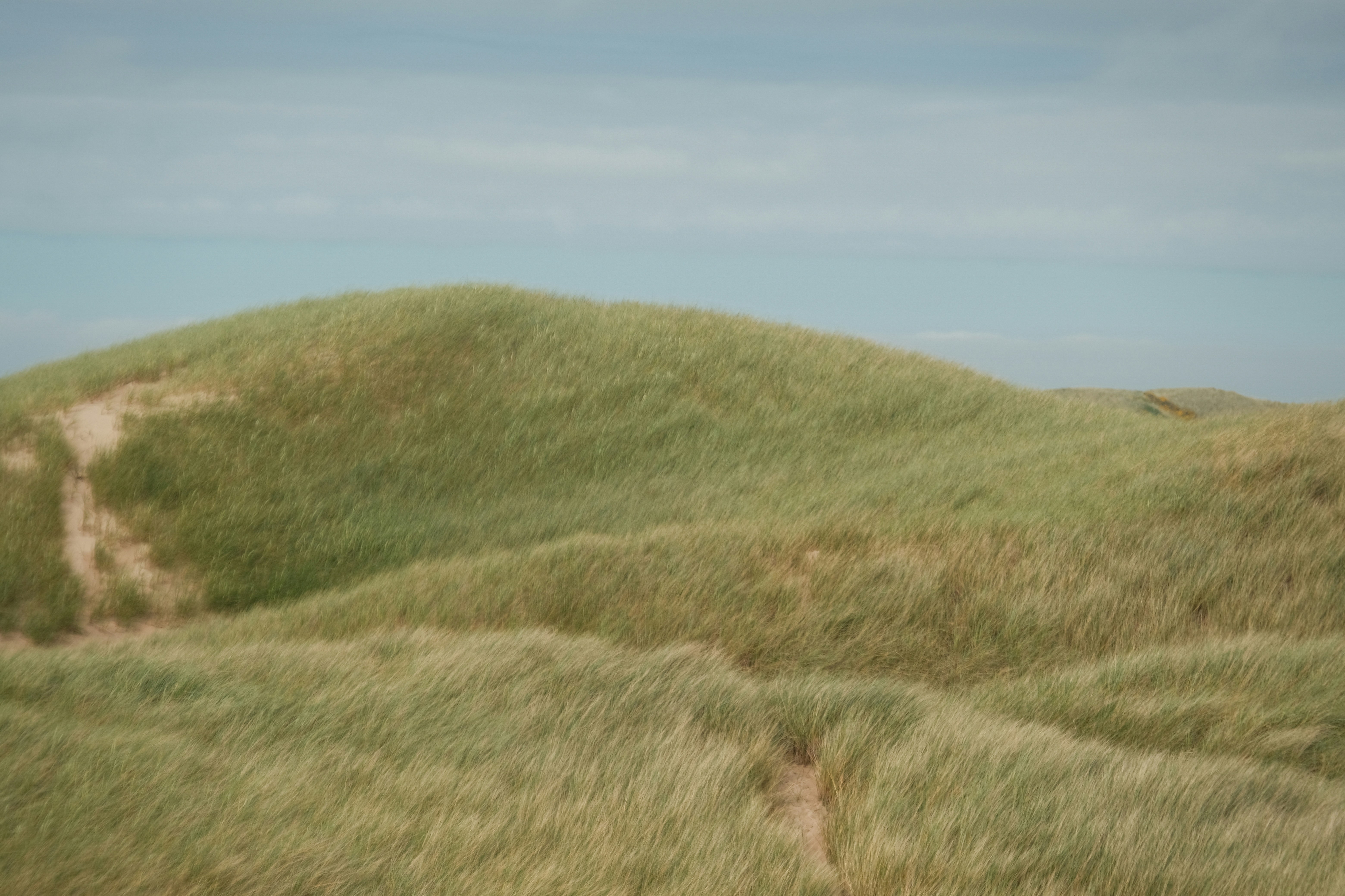 Photo by Robert Katzki with Fujifilm X-T30 II