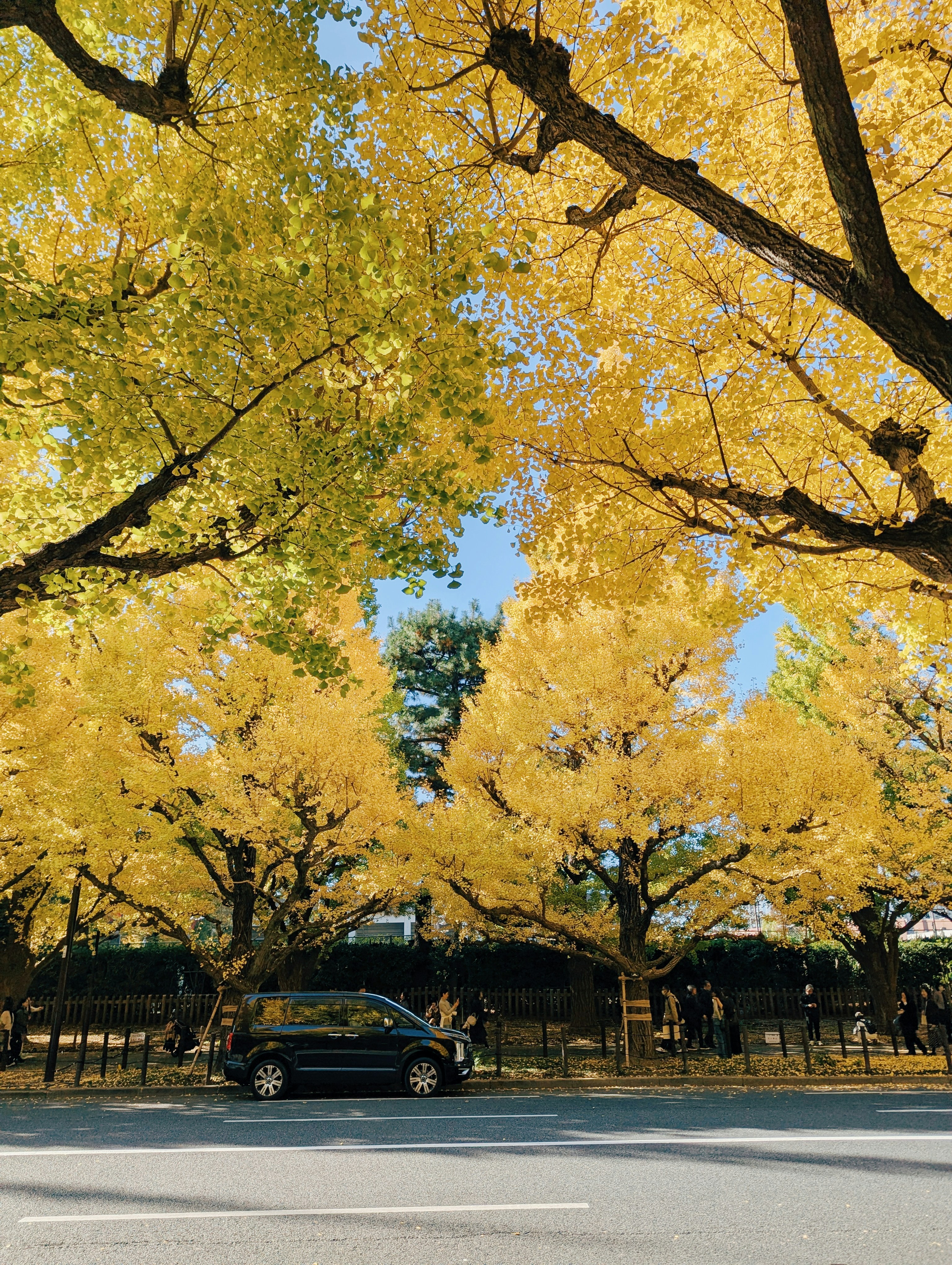 Photo by note thanun with Google Pixel 6